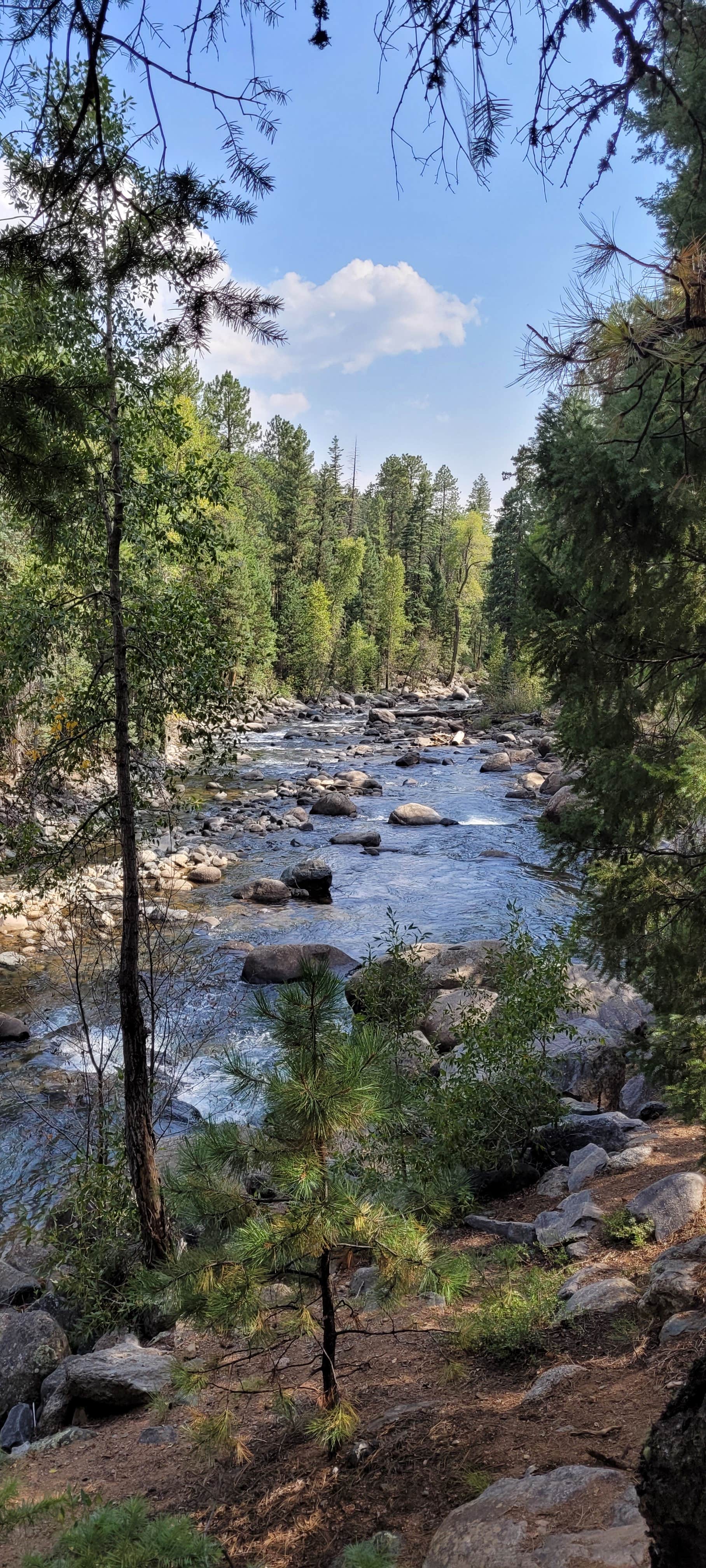 Best camping in Rio Grande National Forest | The Dyrt