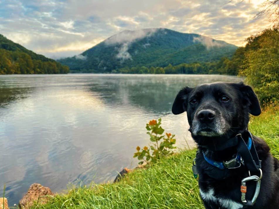 New River Junction Campground | Blacksburg, VA