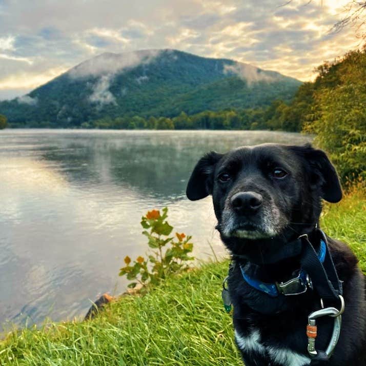 New River Junction Campground | Staffordsville, Virginia