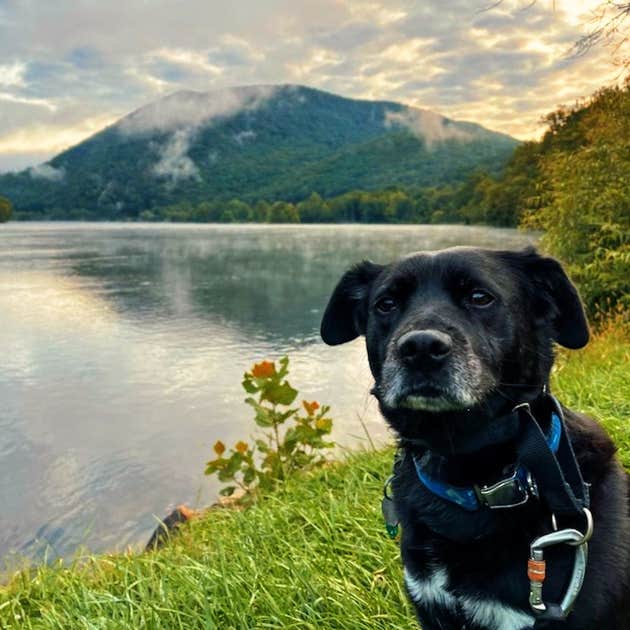 New River Junction Campground | Staffordsville, Virginia