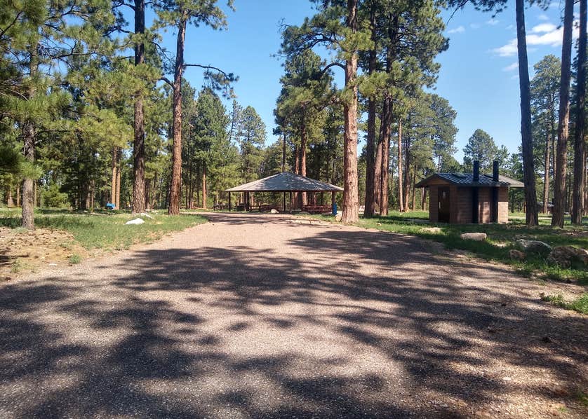 Jacob Lake Group Campground and Picnic Area Camping | The Dyrt