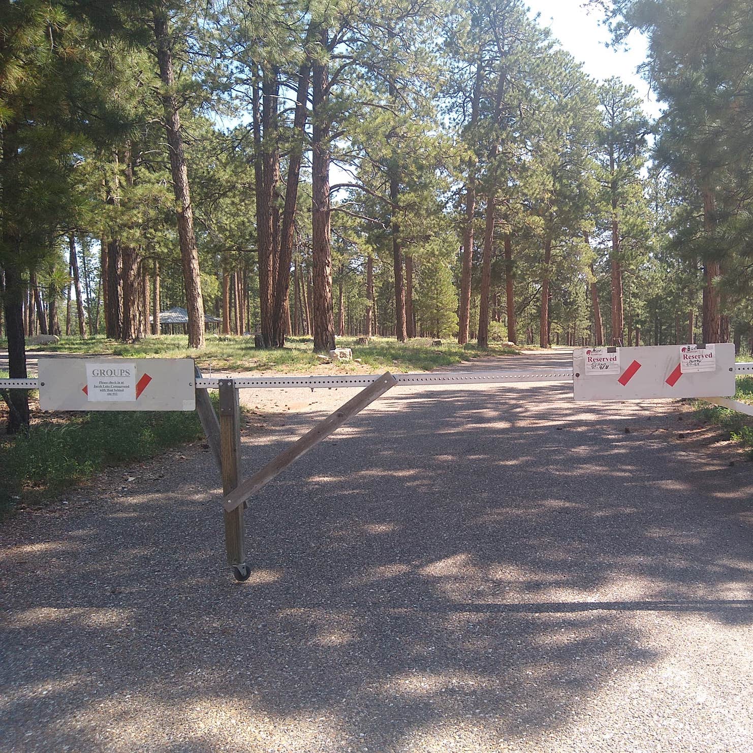 Jacob Lake Group Campground and Picnic Area | Jacob Lake, Arizona