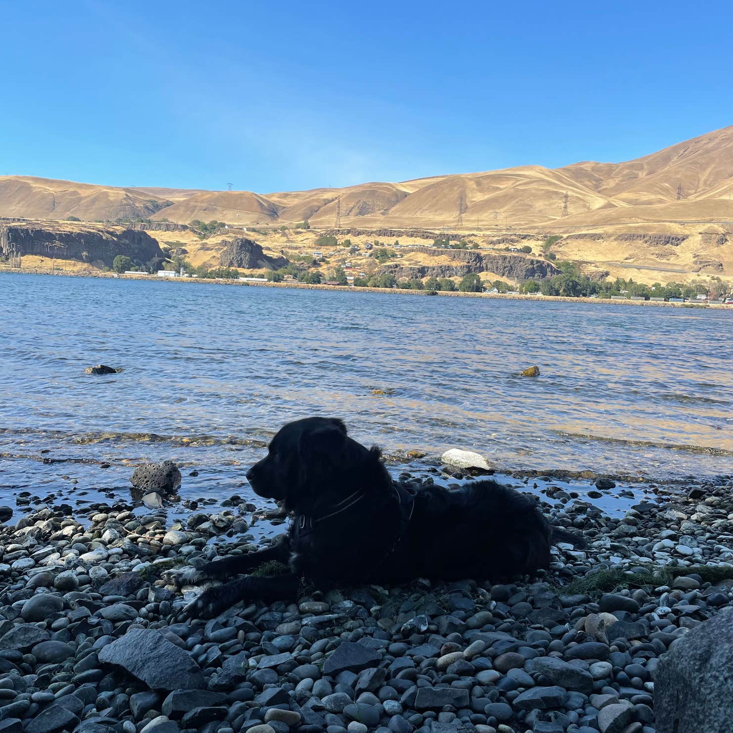 Celilo Park Recreation Area Camping | The Dalles, OR