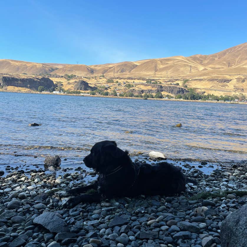 Celilo Park Recreation Area Camping | Wishram, Washington