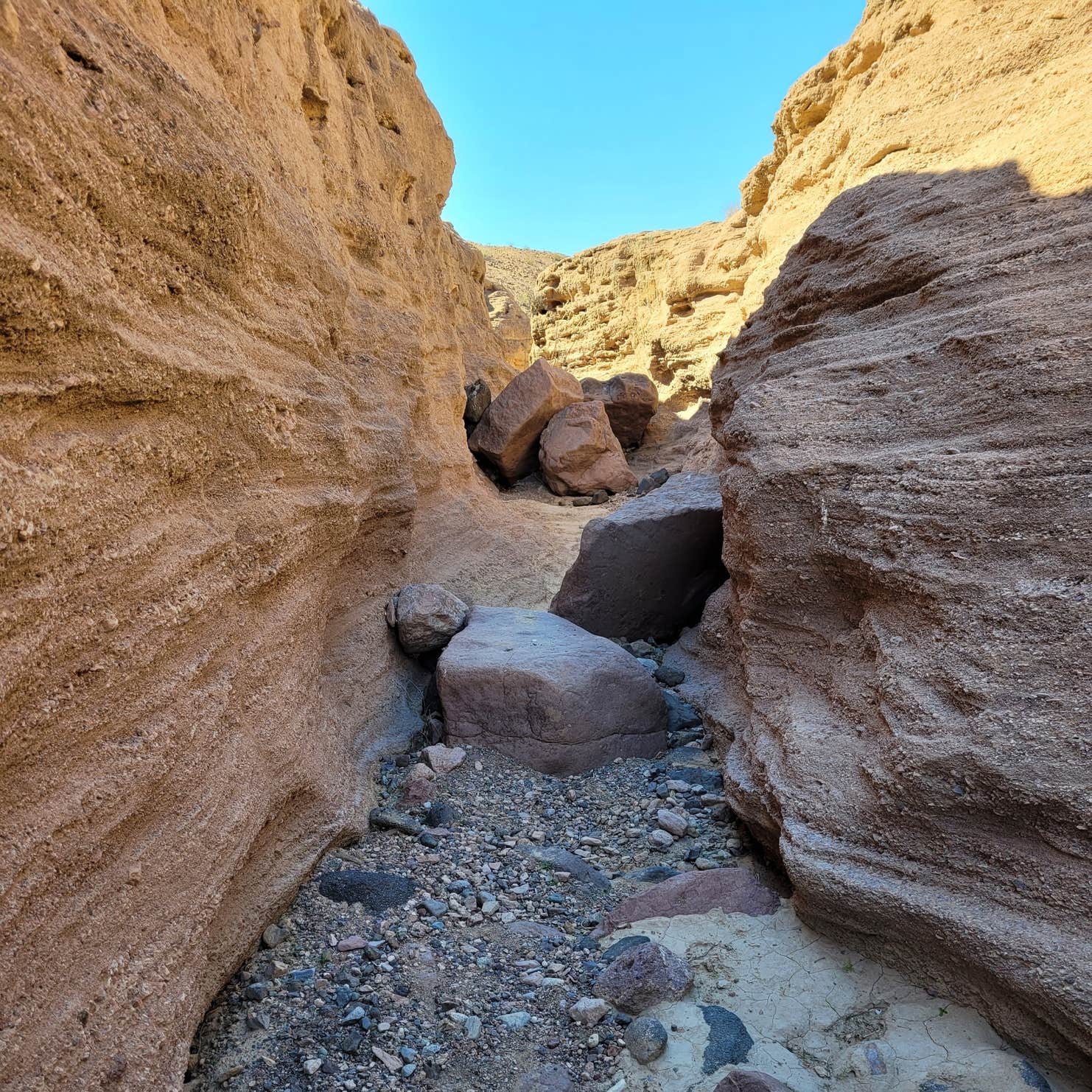 BLM Imperial Dam Long Term Visitor Area (LTVA) Camping | The Dyrt