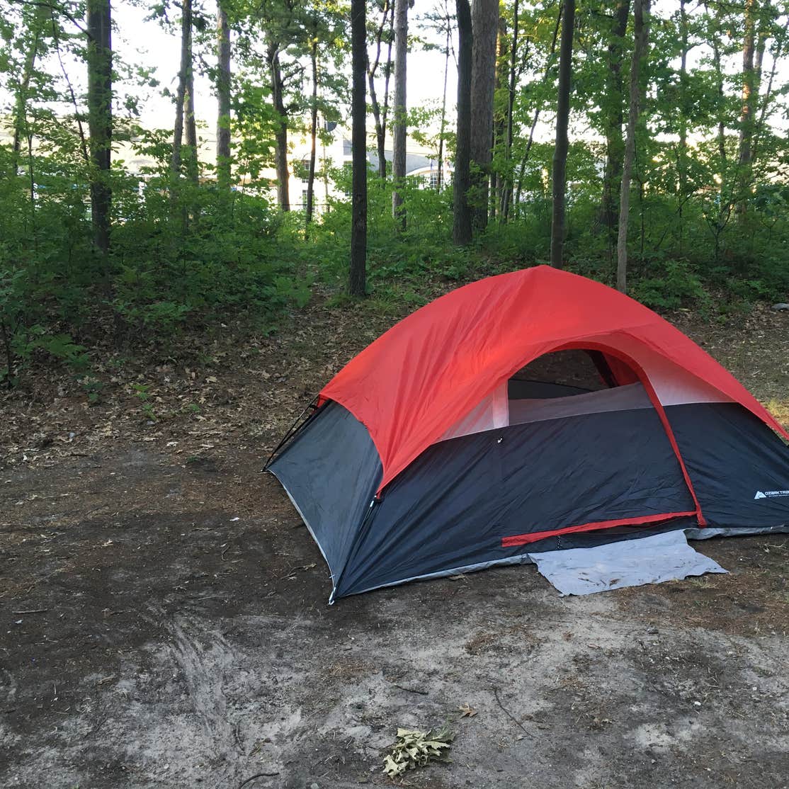 Traverse City State Park Camping | The Dyrt
