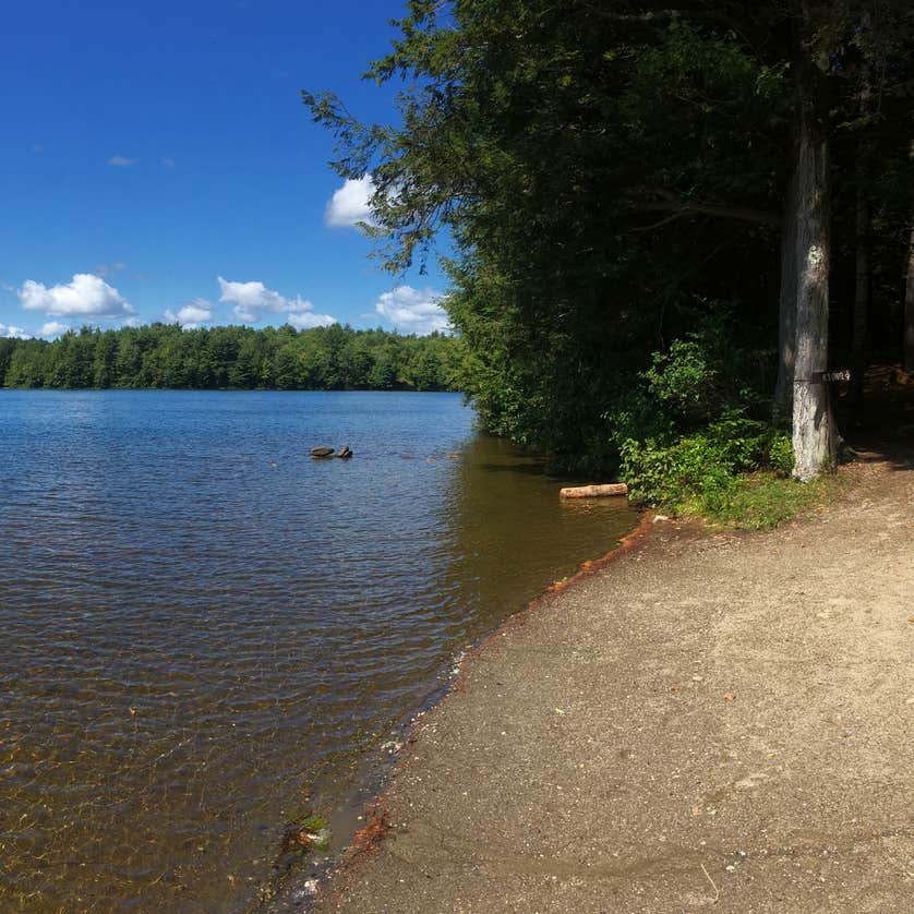 Daughters of the American Revolution (DAR) Campground Camping | The Dyrt