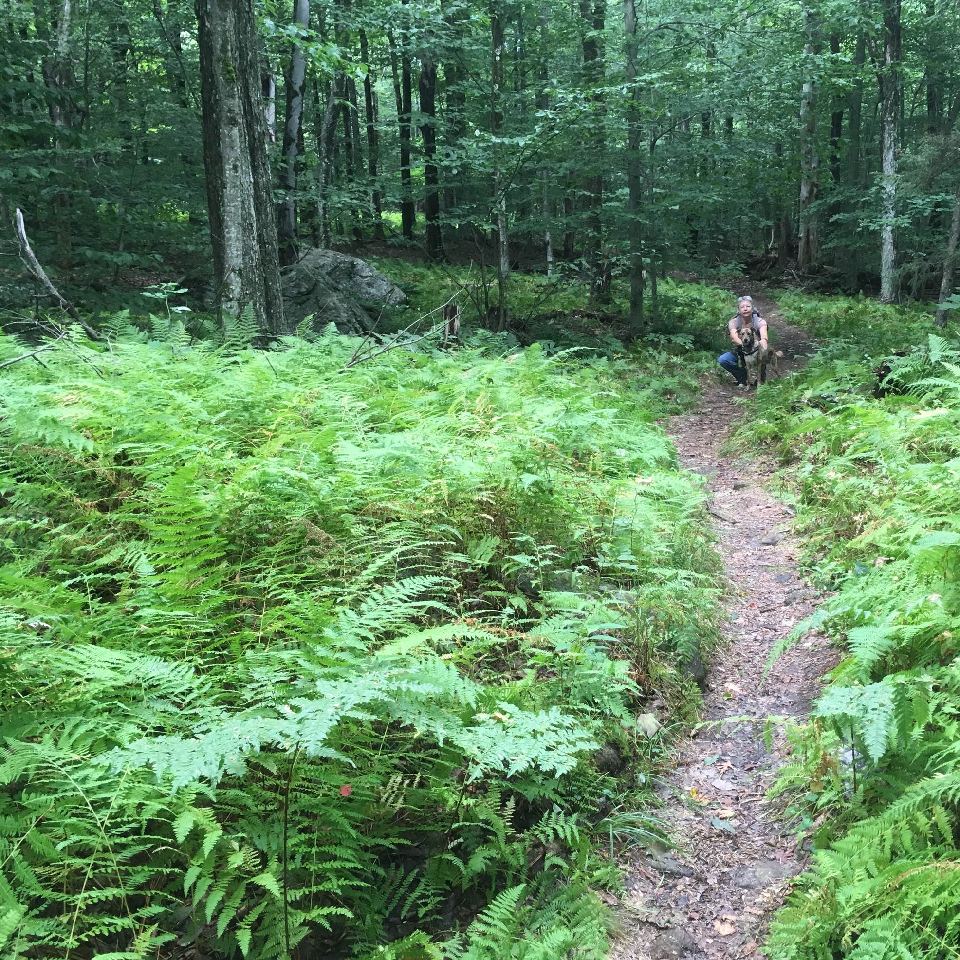 Daughters of the American Revolution (DAR) Campground Camping | The Dyrt