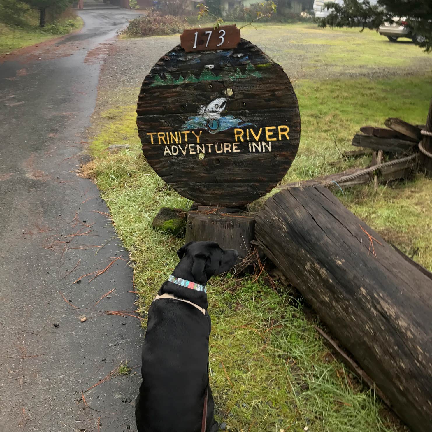 Trinity River Adventure Inn Camping | Douglas City, CA