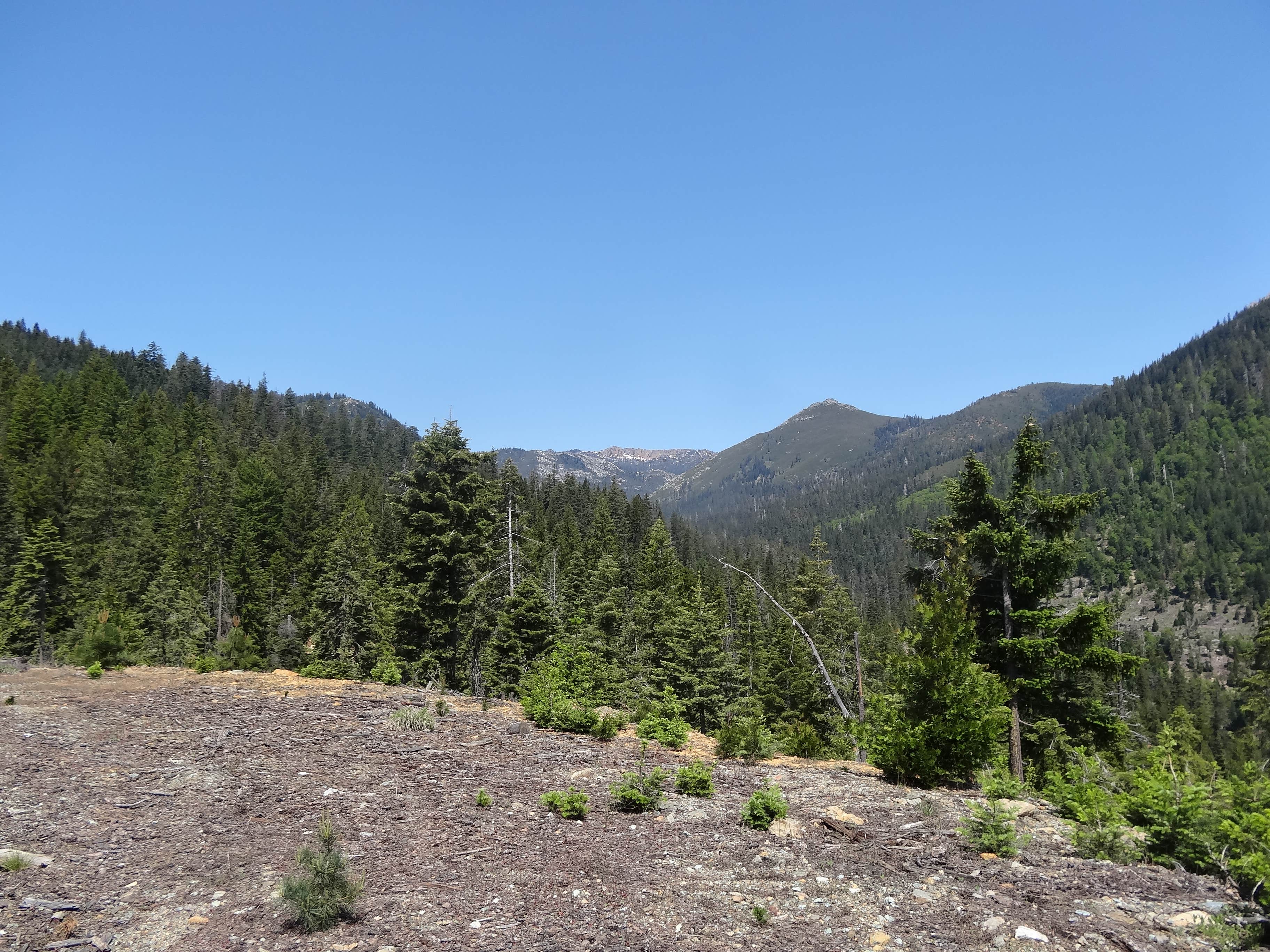 Ripple Creek Cabins | Trinity Center, CA