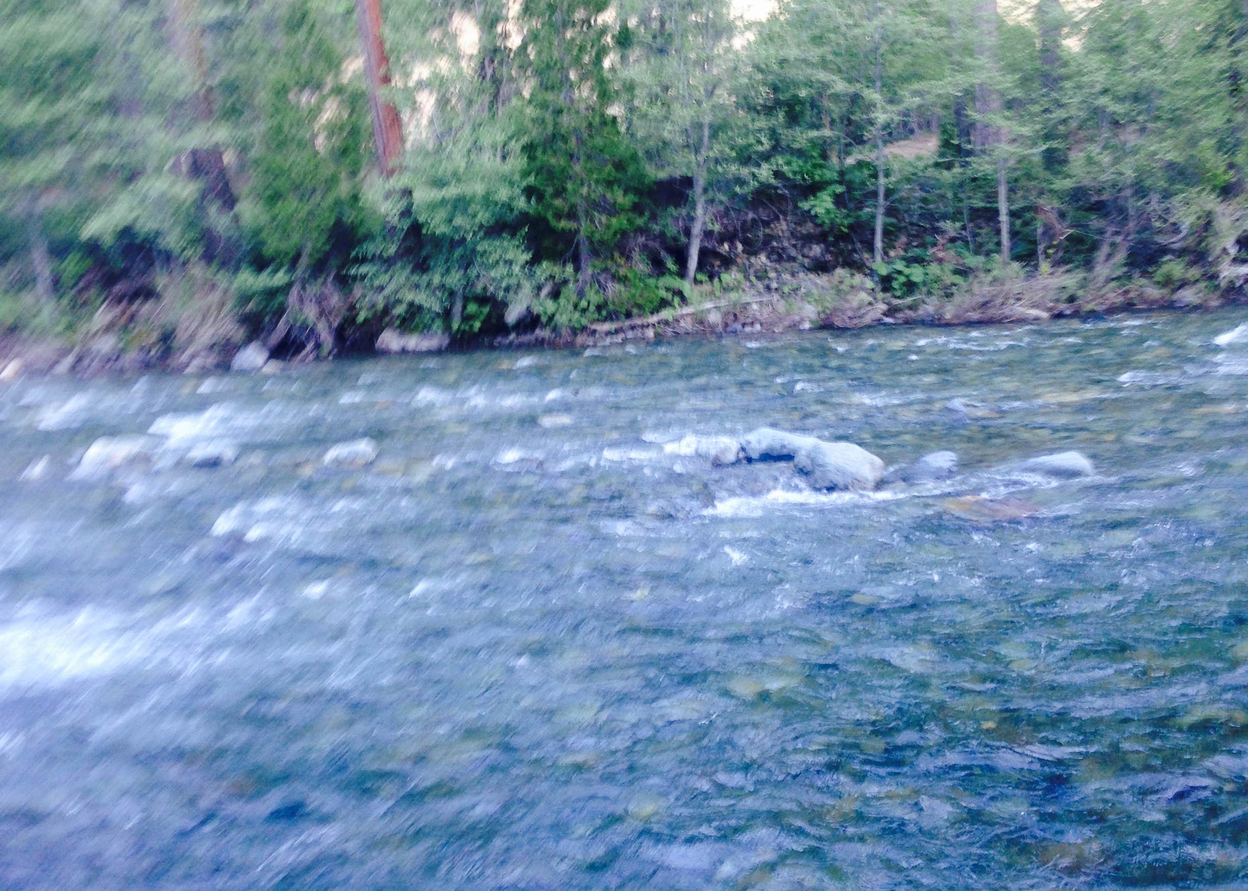 Ripple Creek Cabins Camping | The Dyrt