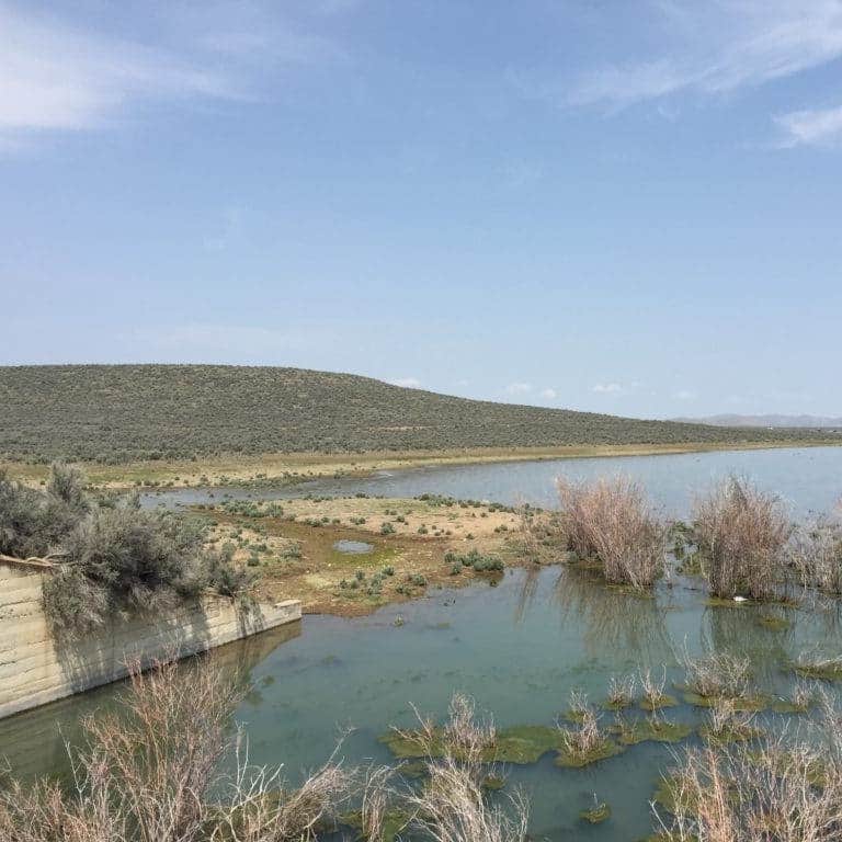 Wilson Reservoir Camping | The Dyrt