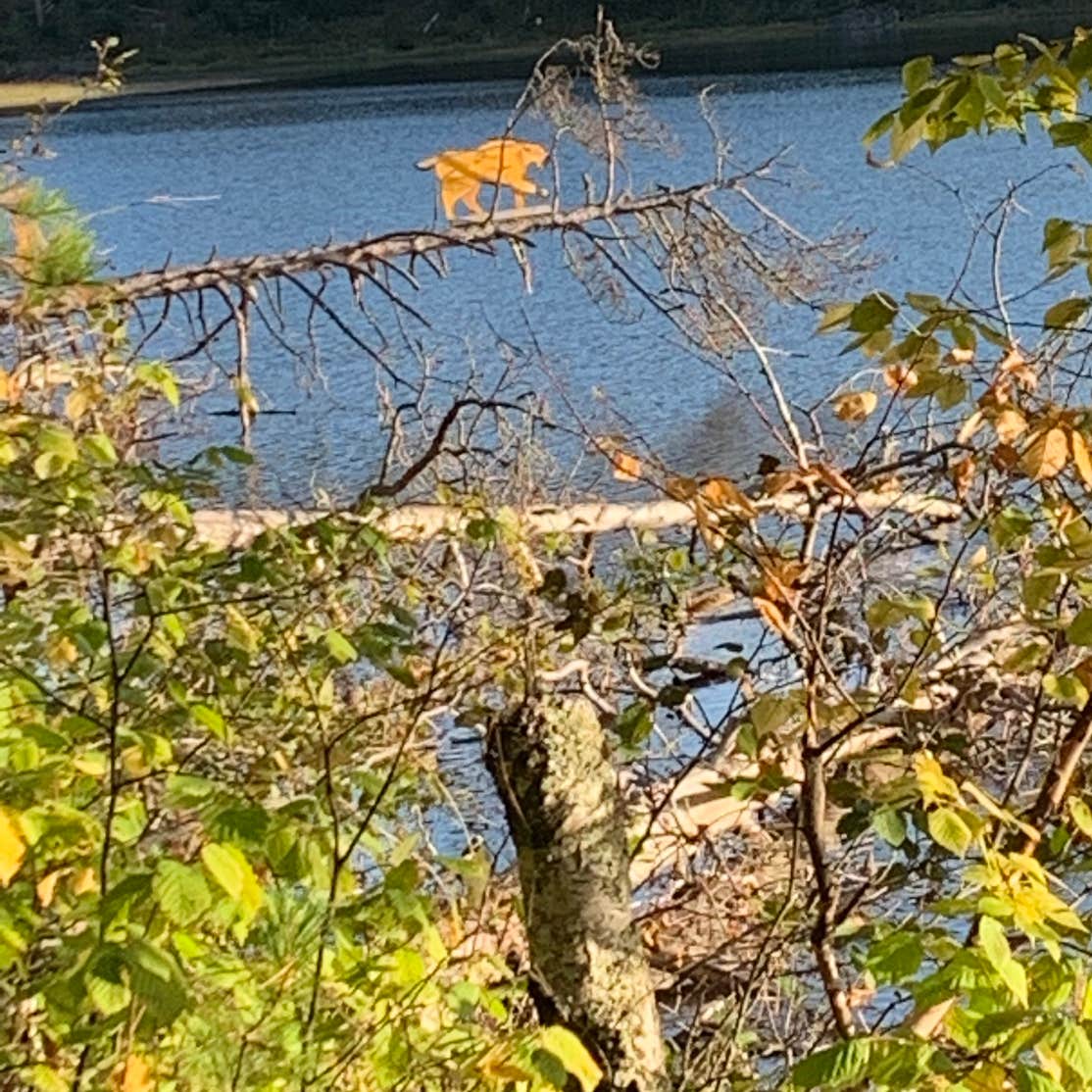 Side Lake Campground — McCarthy Beach State Park | Chisholm, Minnesota