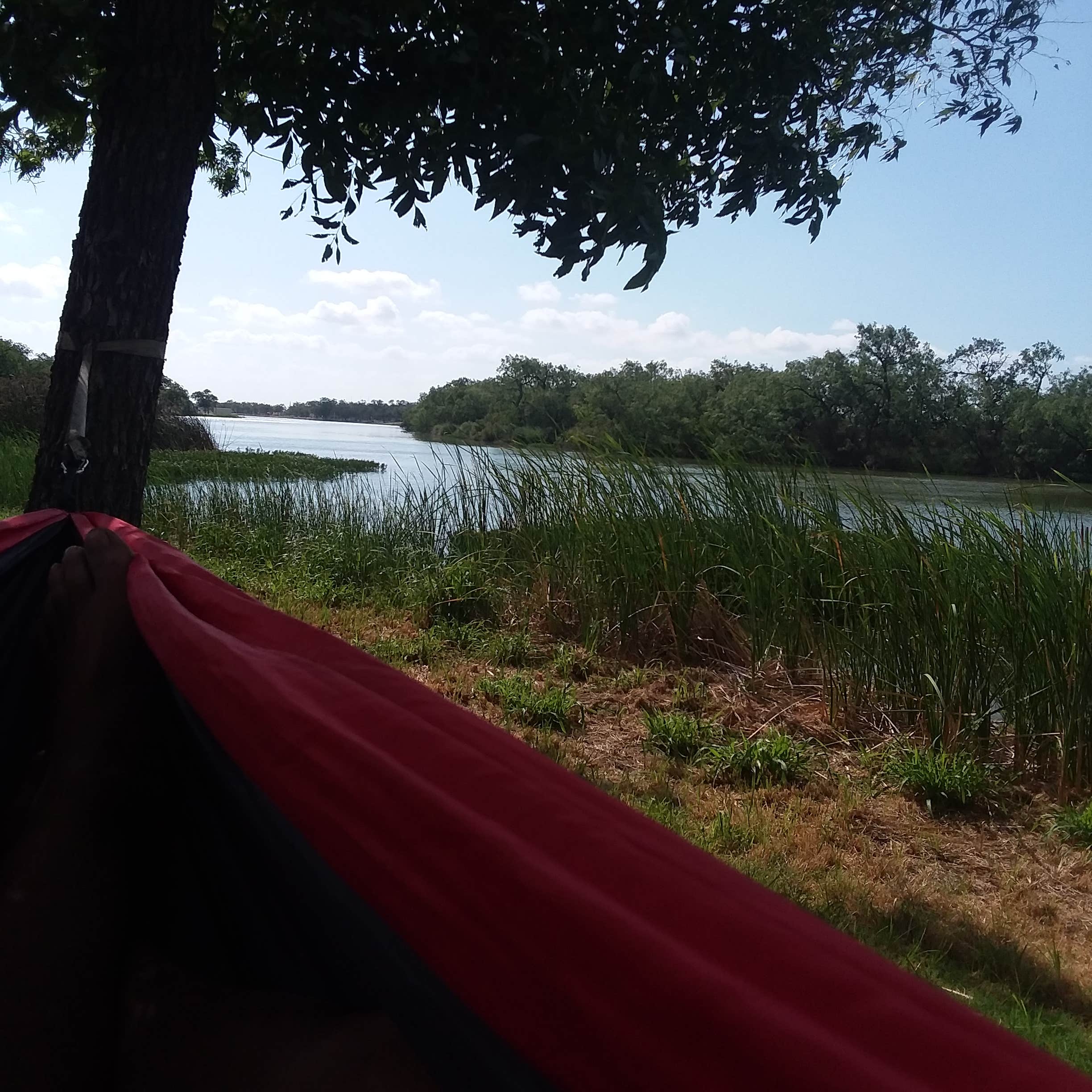 Middle Concho Park Camping | San Angelo, TX