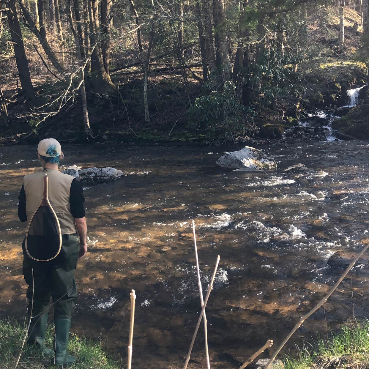 Gandy Creek Dispersed Camping | Whitmer, WV