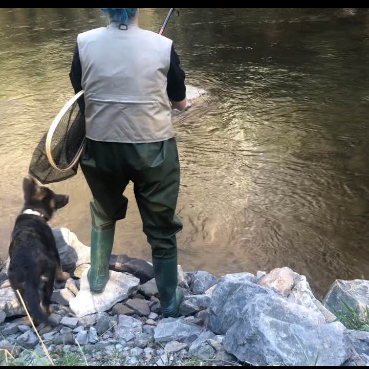 Gandy Creek Dispersed Camping | Whitmer, WV