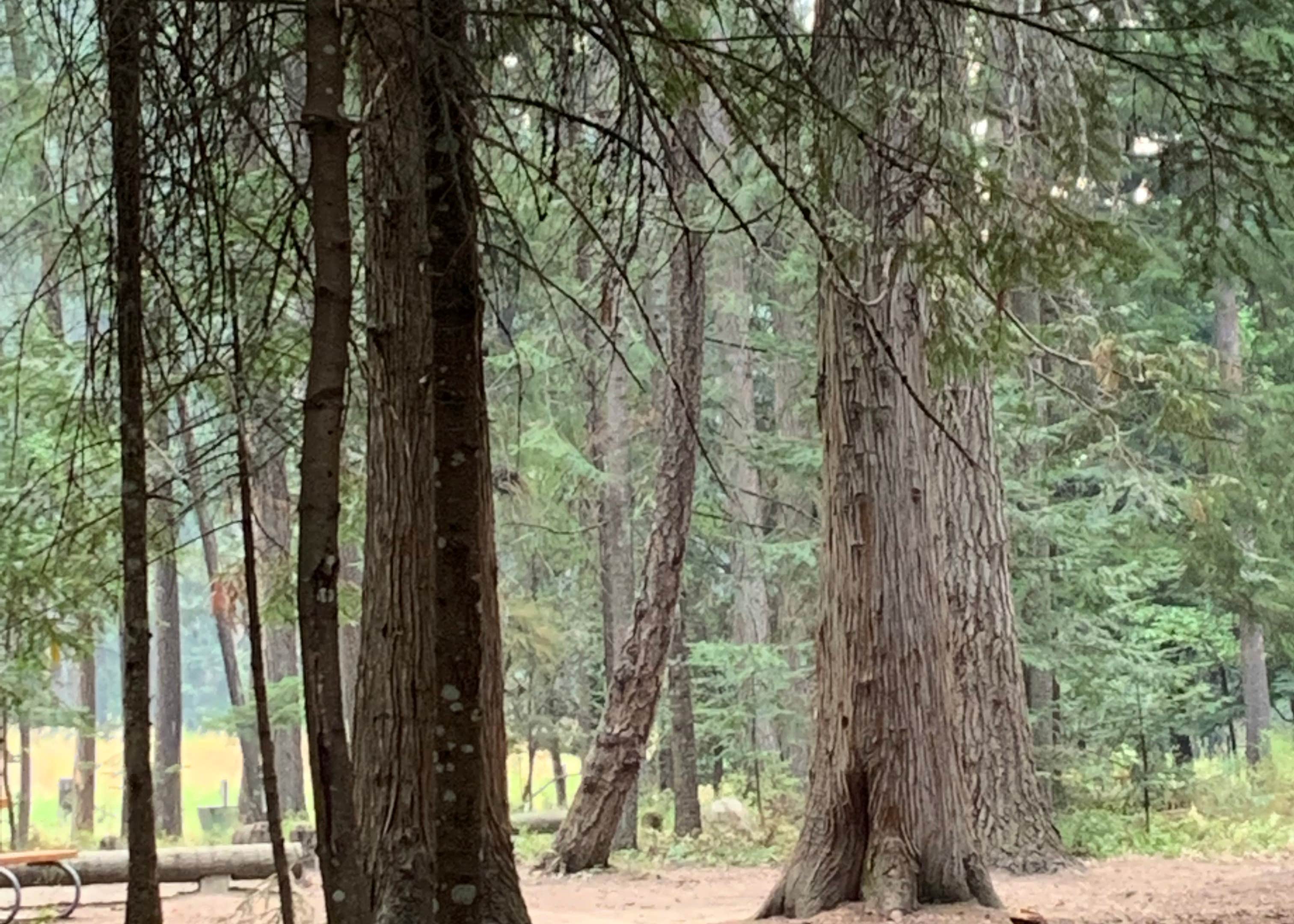 Round Lake State Park Camping | The Dyrt