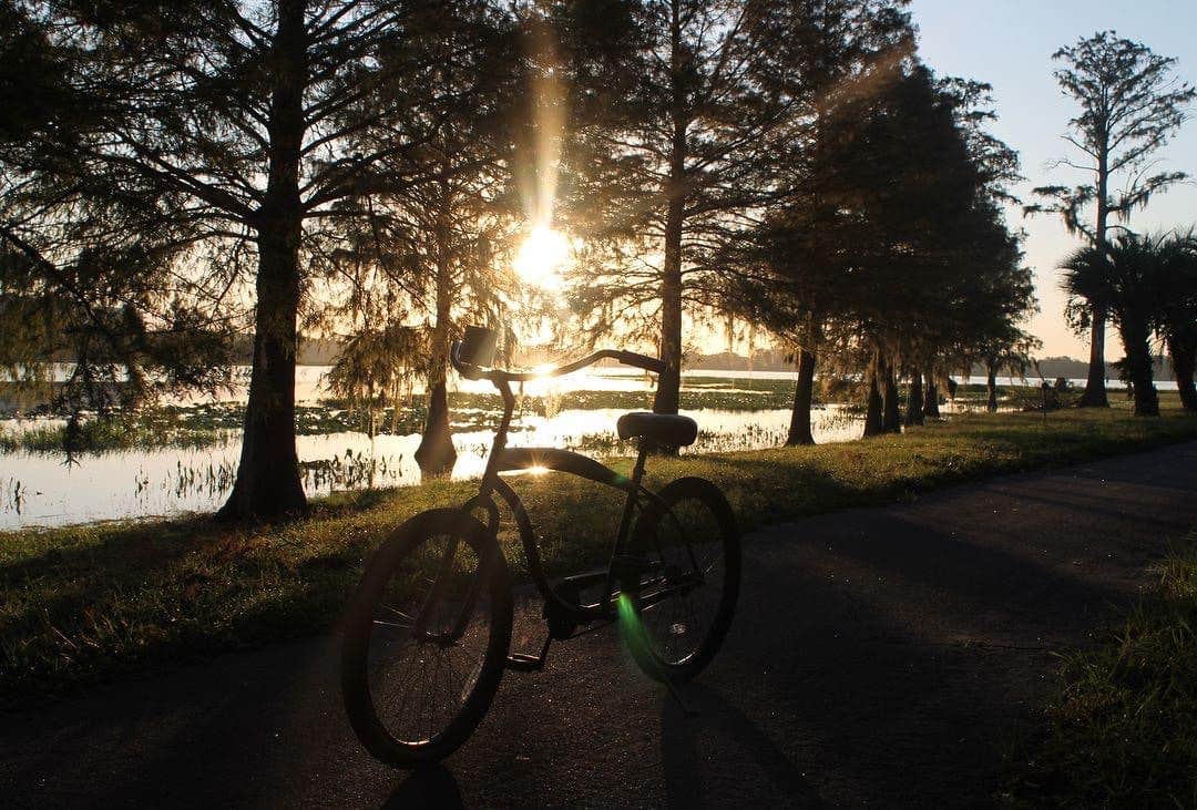 Bill Frederick Park at Turkey Lake Camping | Windermere, Florida