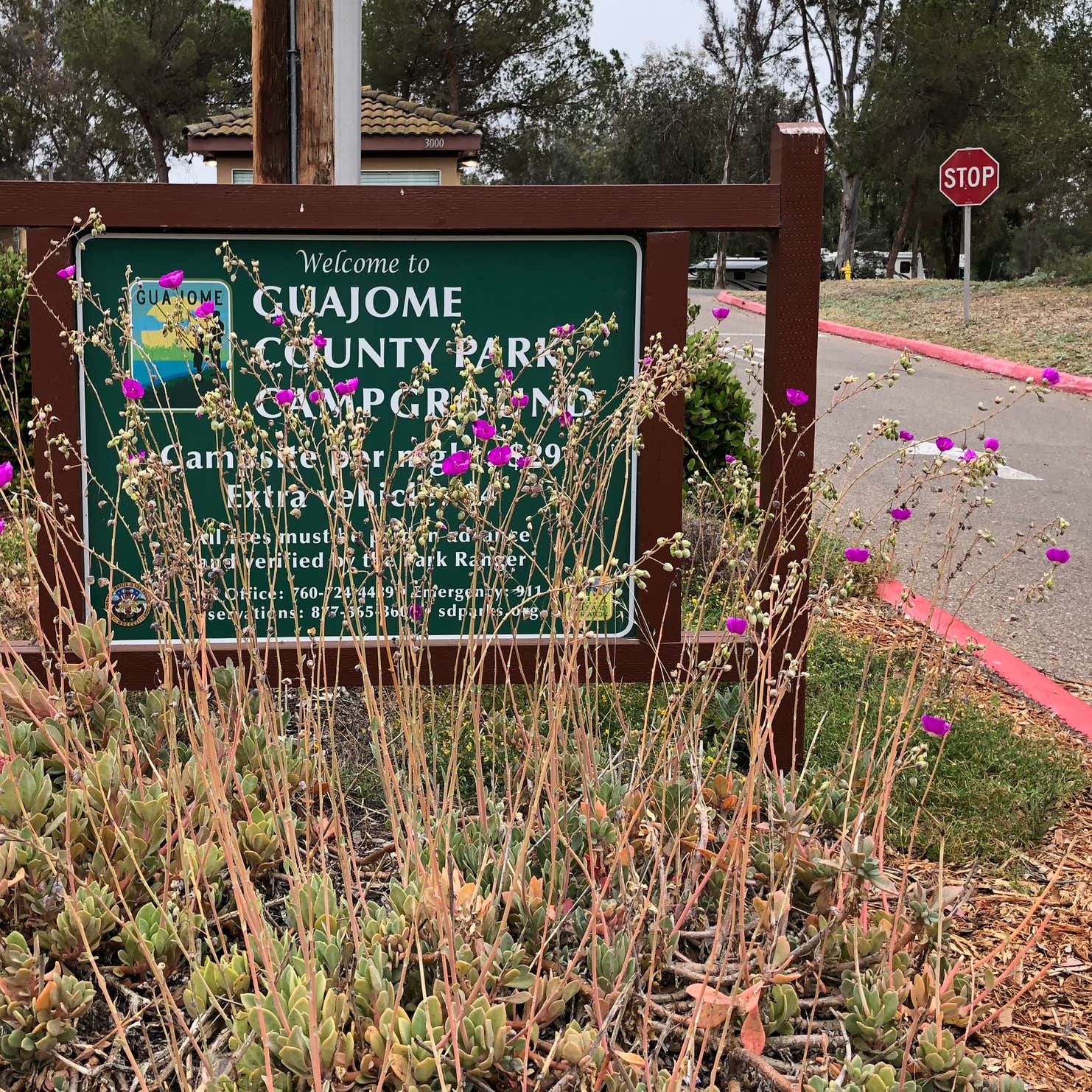 Guajome Regional Park Camping | The Dyrt