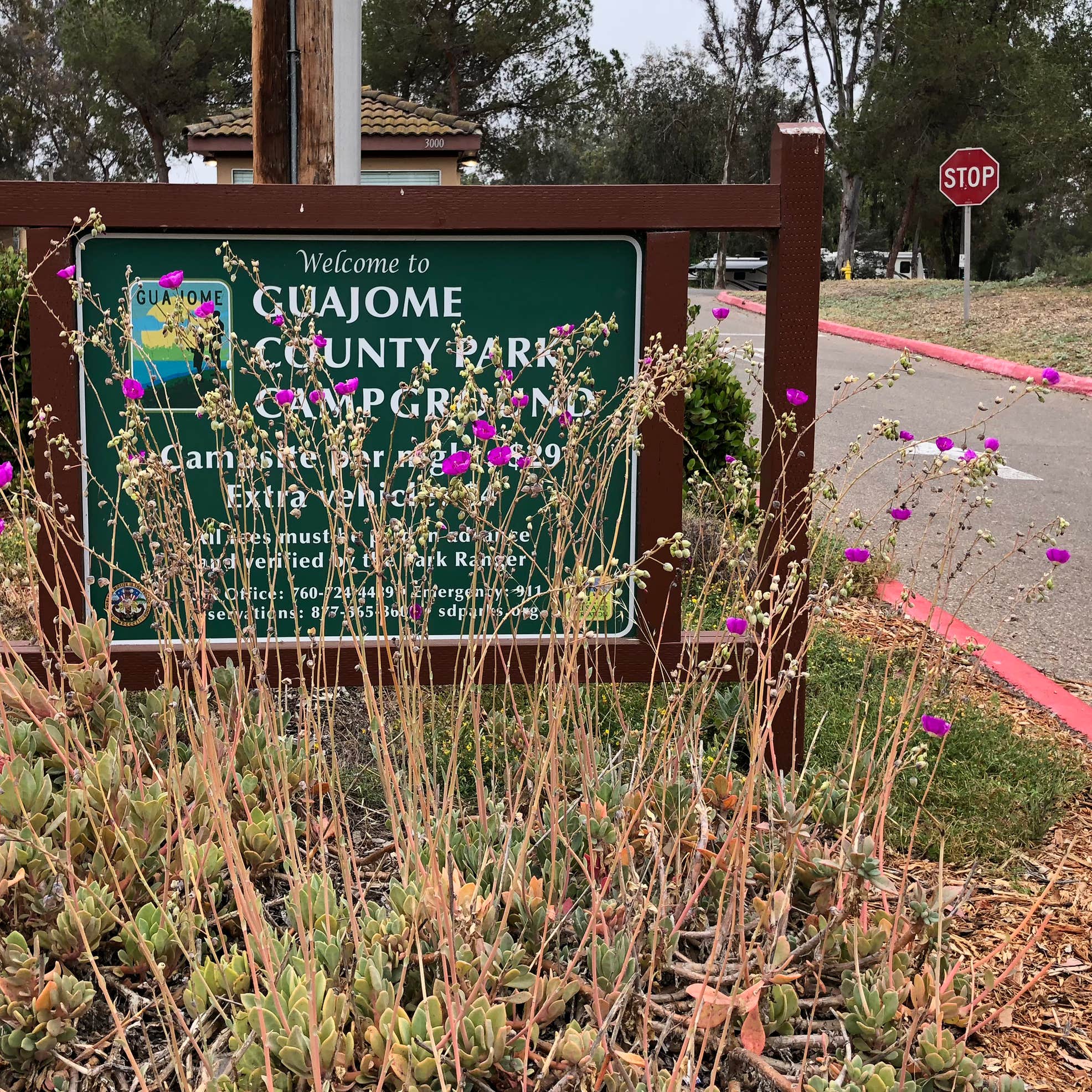 Guajome Regional Park Camping | The Dyrt