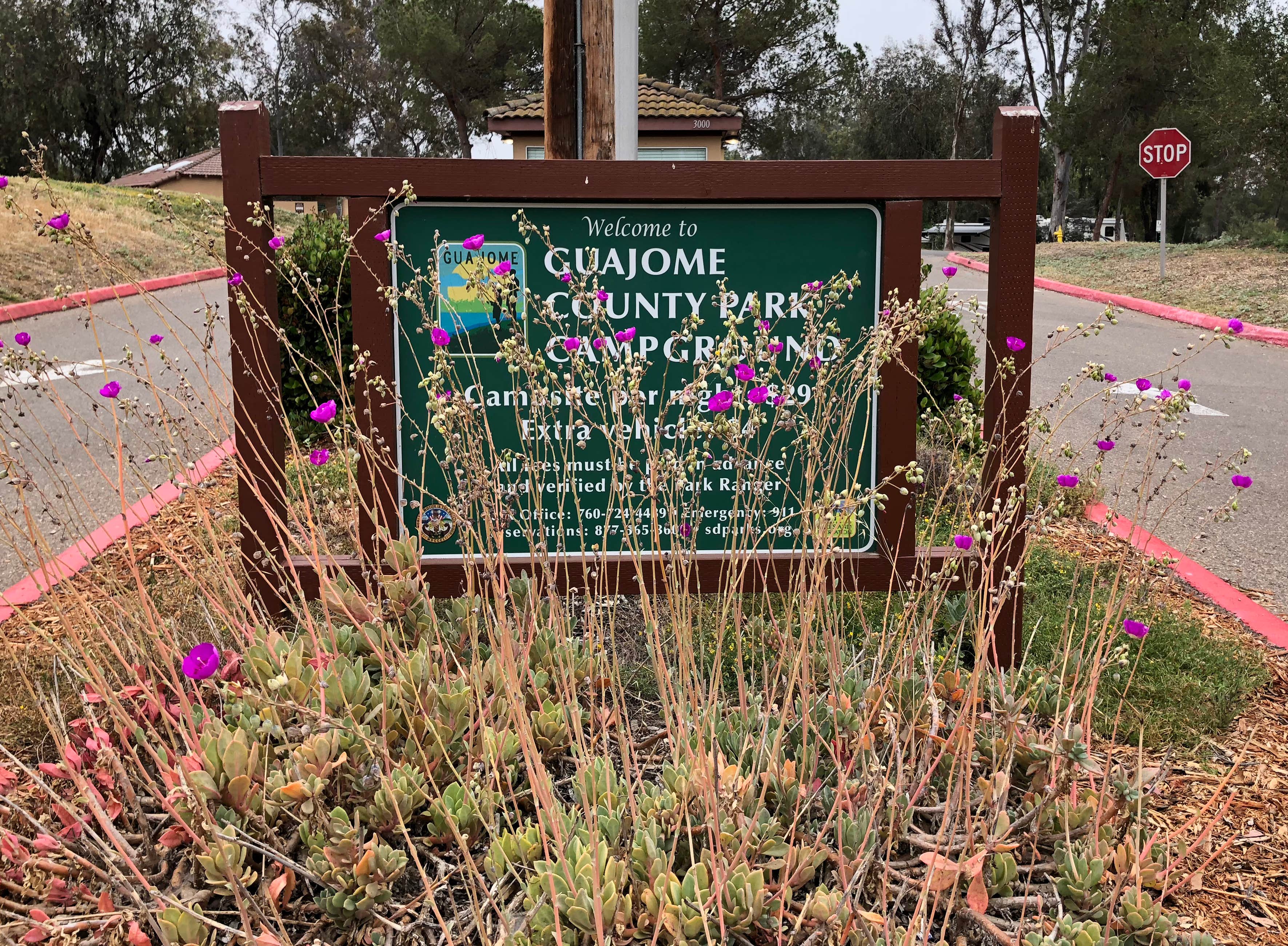 Guajome Regional Park Camping | Oceanside, CA