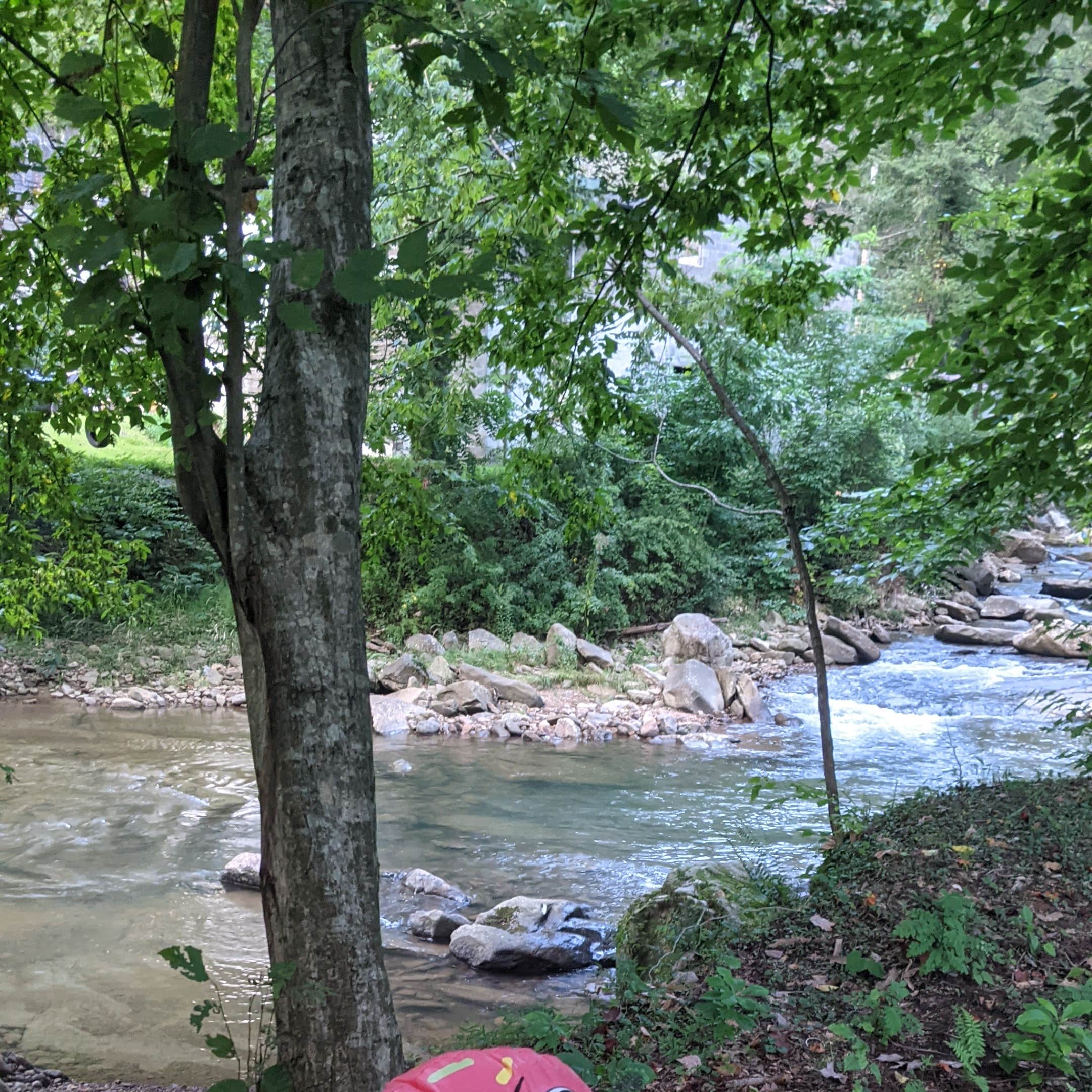 Camp Holly Camping | The Dyrt