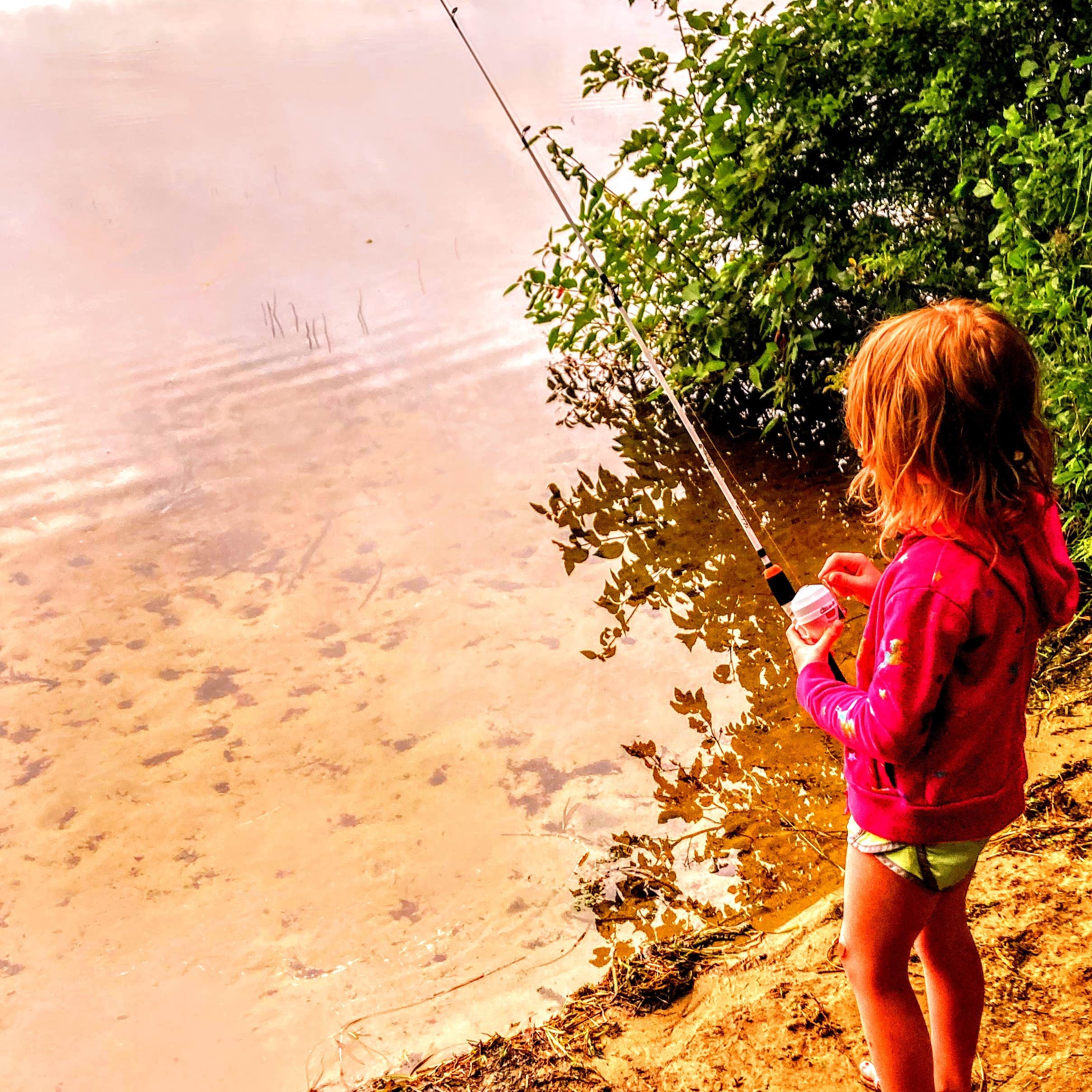 Little Brevort Lake North State Forest Campground Camping | The Dyrt