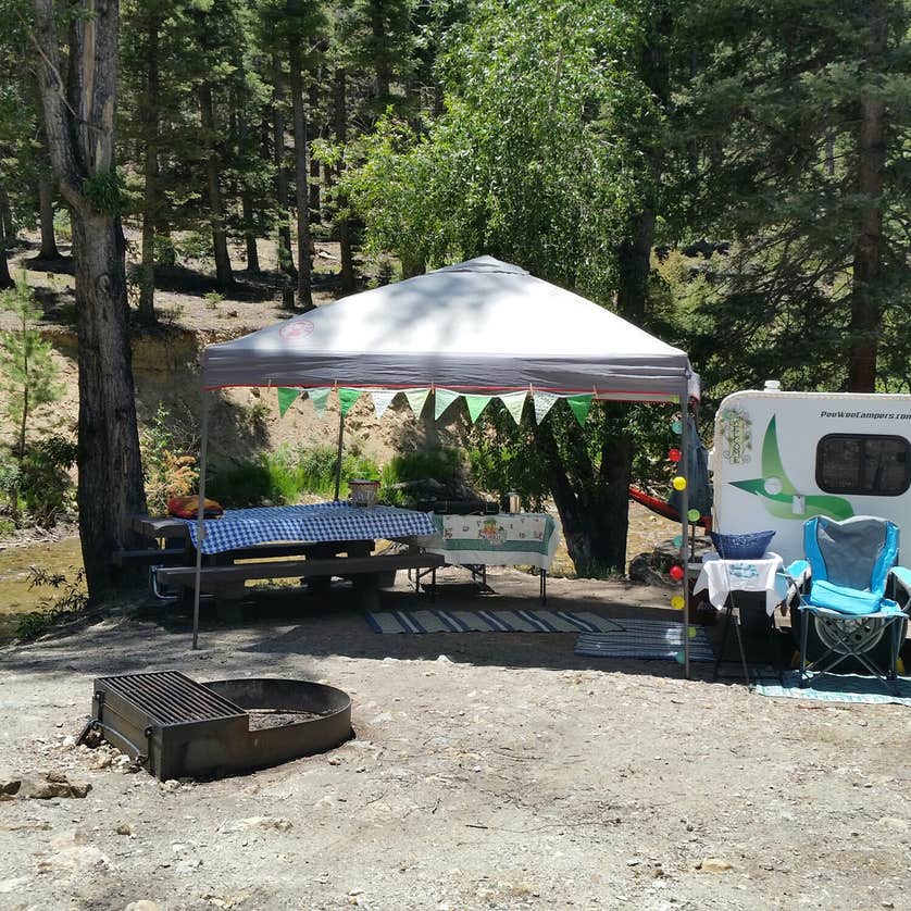 Junebug Campground | Red River, NM