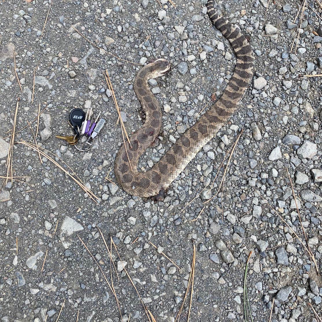 Minam State Recreation Area Camping | Wallowa, Oregon