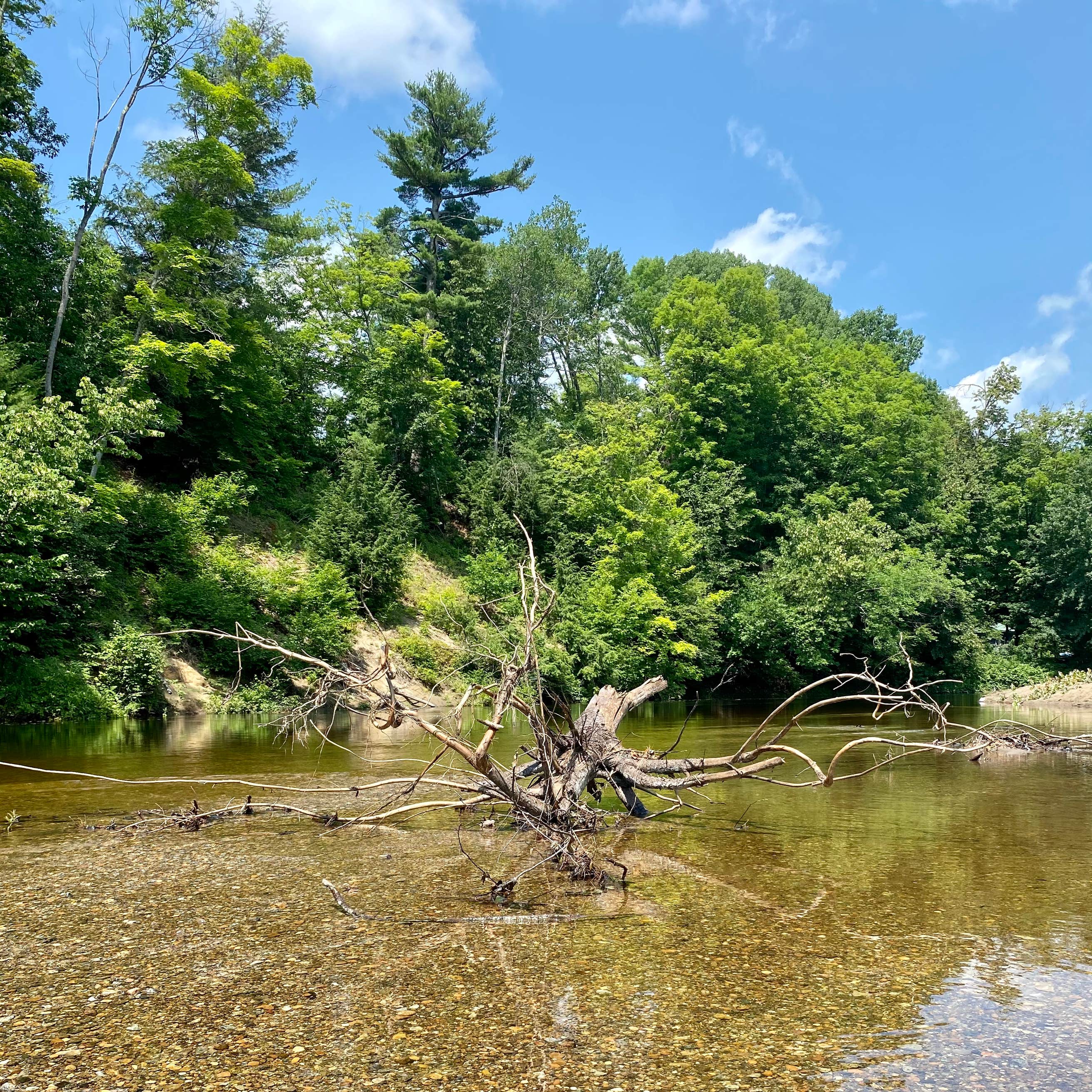 Medcalf Acres Riverfront Campground | Severance, New York