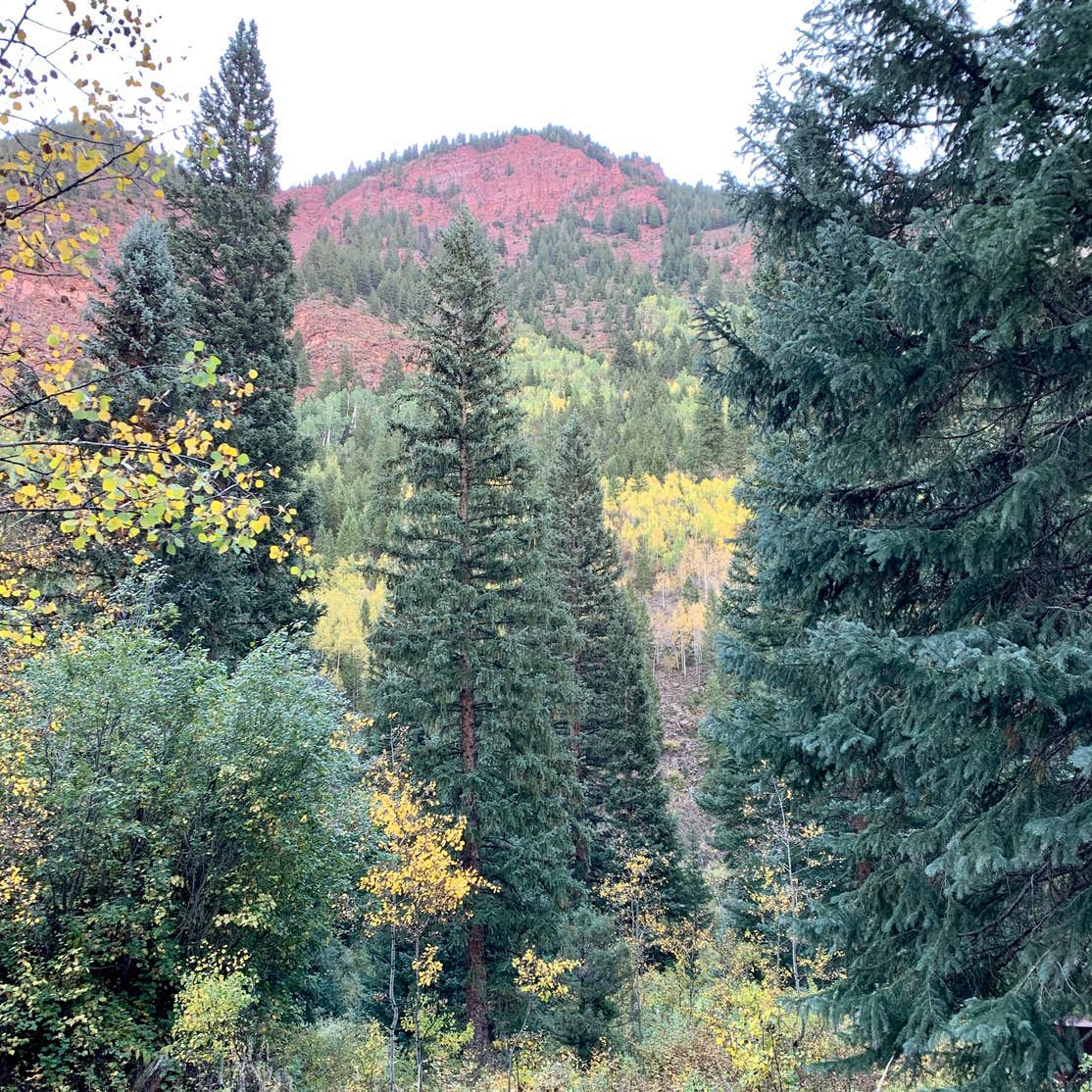 White River National Forest Silver Bell Campground | Aspen, Colorado