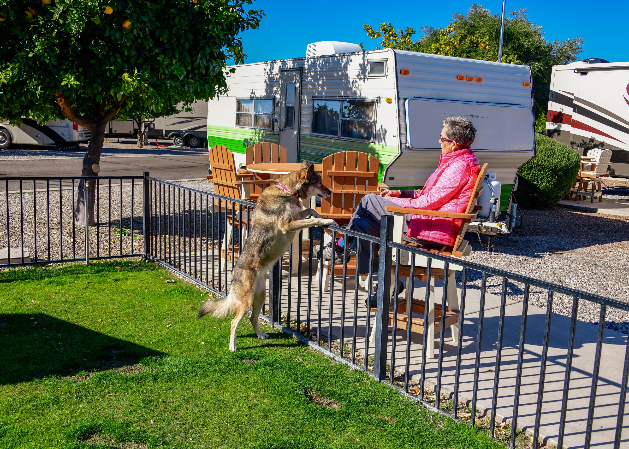 Tucson - Lazydays KOA Camping | The Dyrt