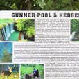 Gunner Pool Recreation Area Camping | Fifty-Six, Arkansas