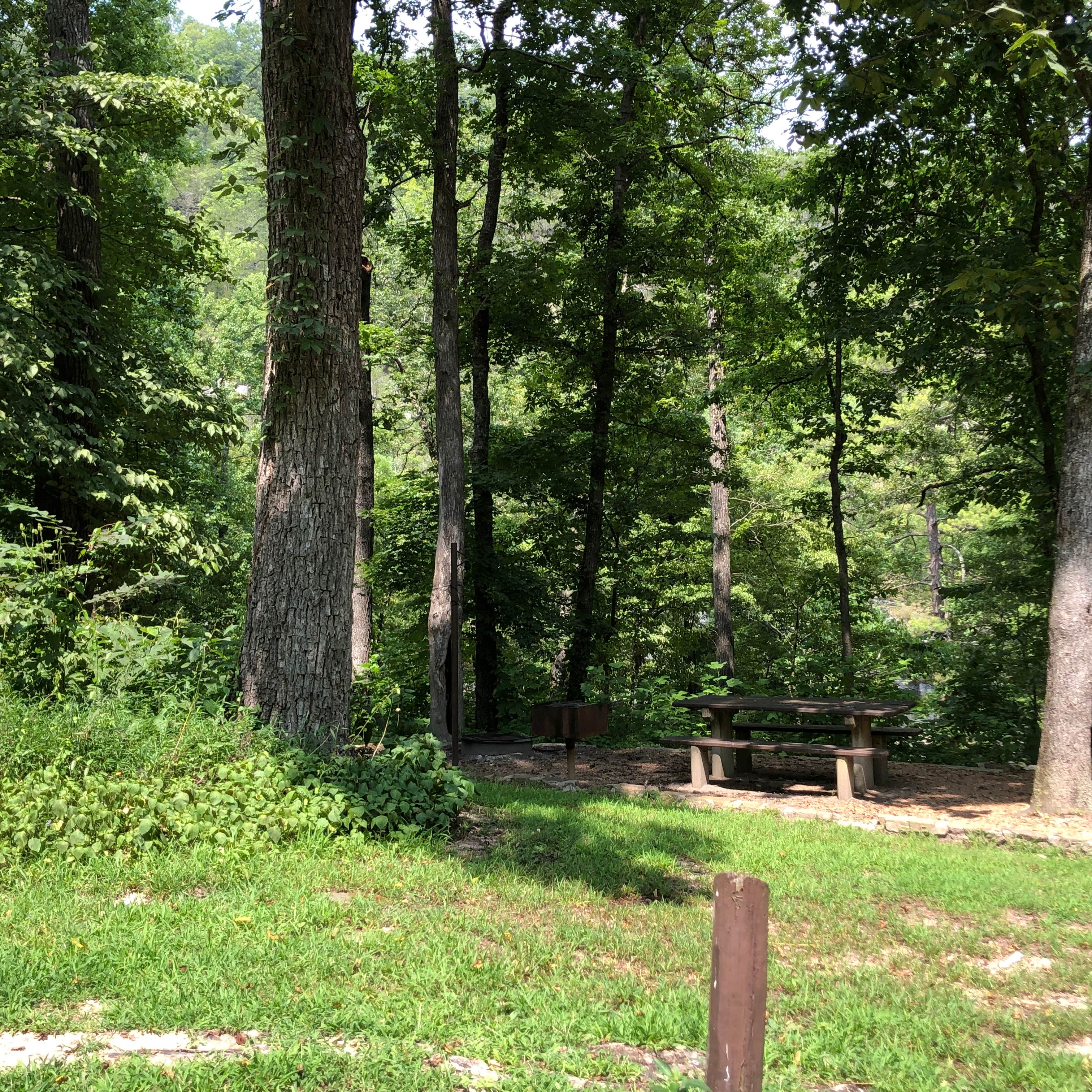 Gunner Pool Recreation Area Camping | Fifty-Six, Arkansas