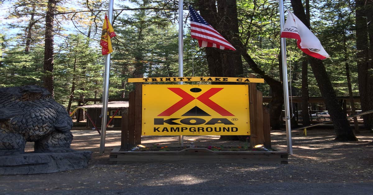 Trinity Lake KOA Holiday Camping | Trinity Center, California