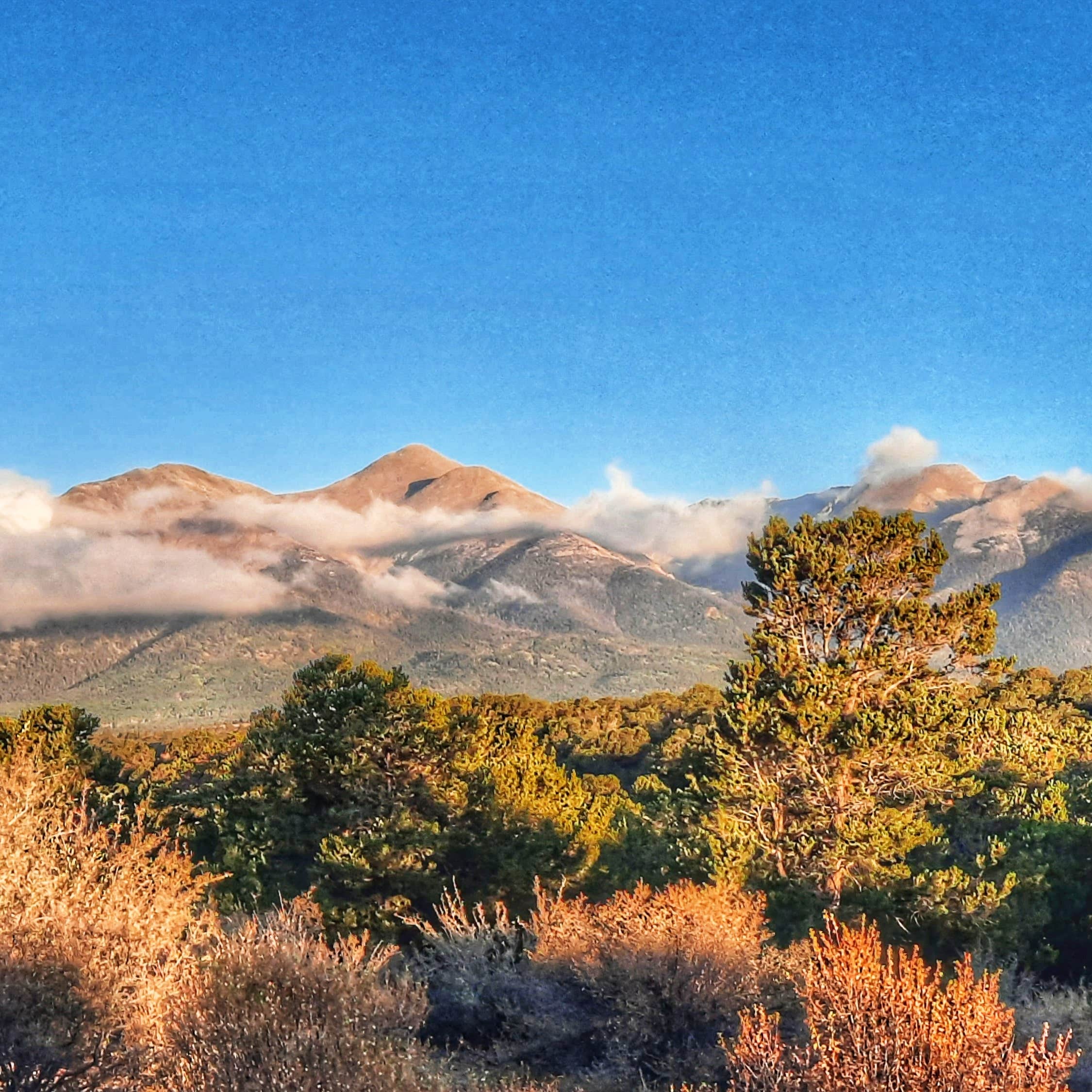 Mt. Shavano Wildlife Area Camping | The Dyrt
