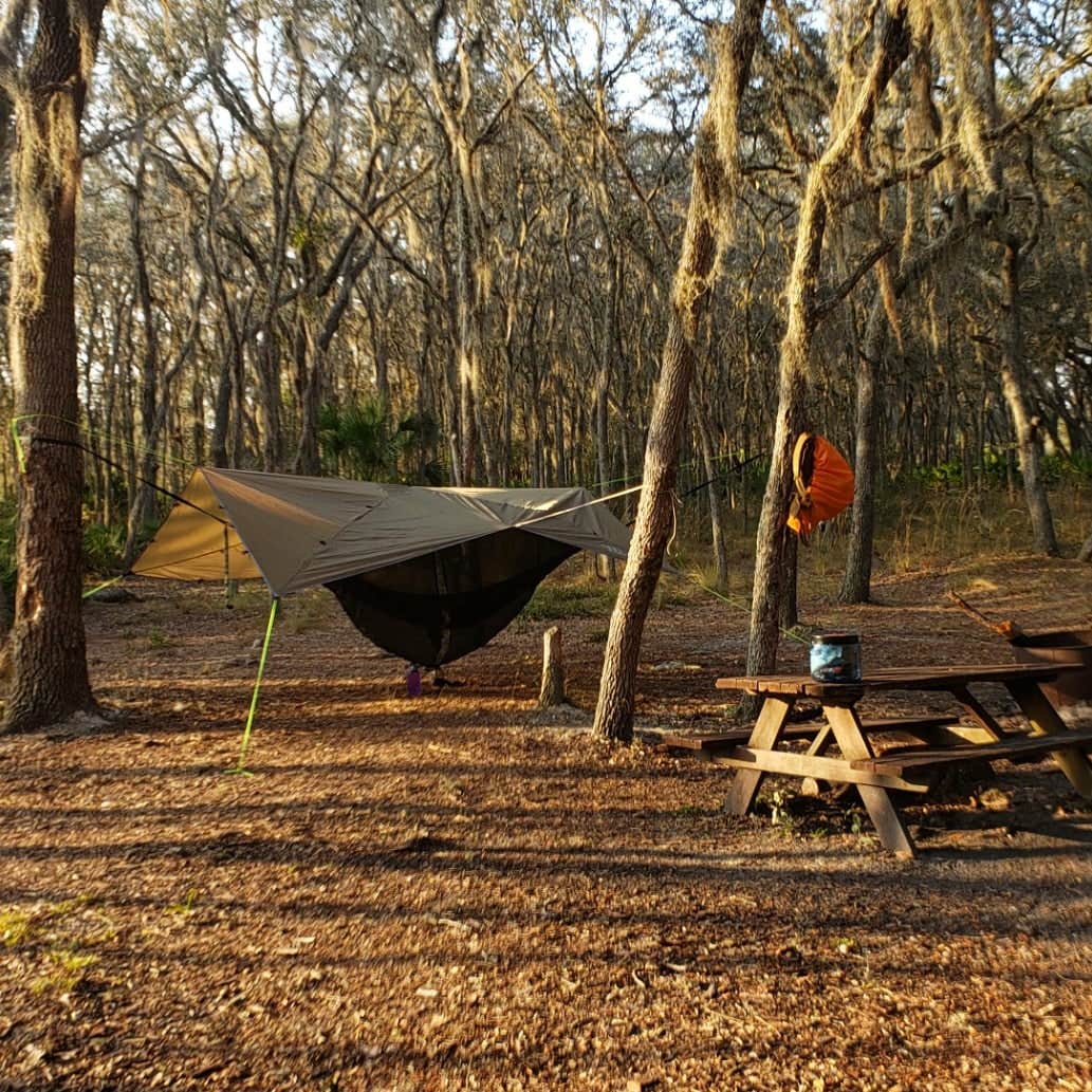Green Swamp — West Tract Camping | Dade City, Florida
