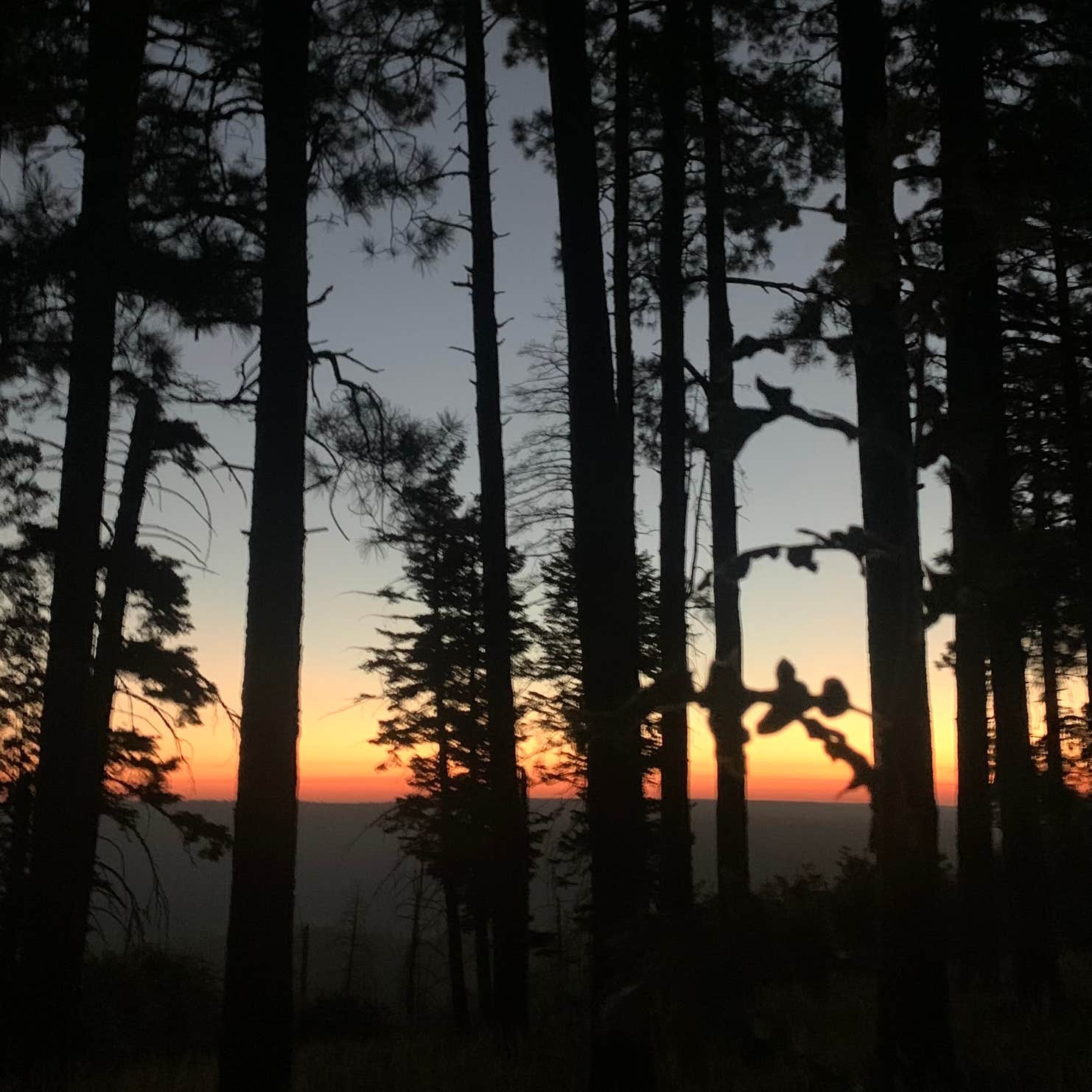 Colcord Ridge Campground | Forest Lakes, Arizona