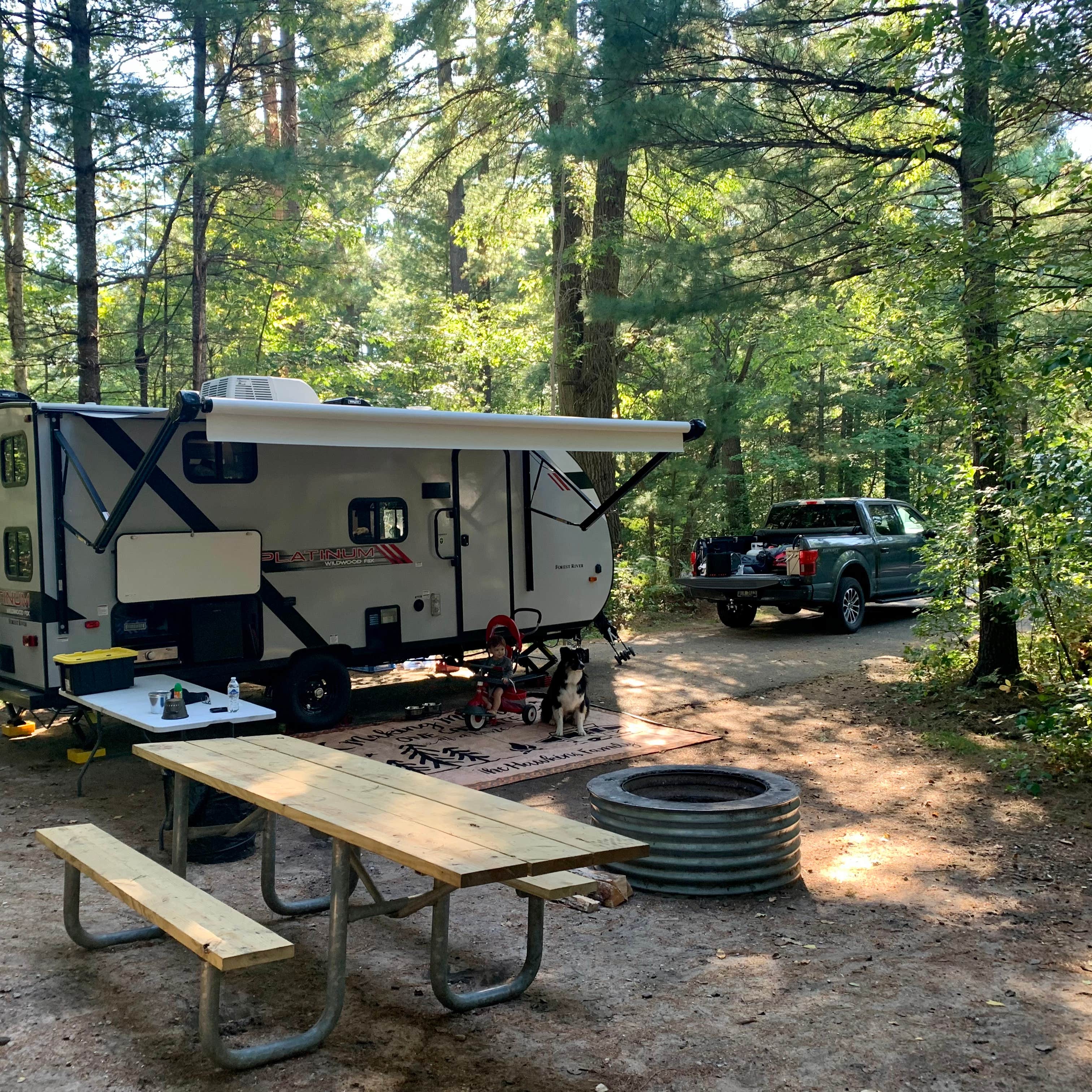 Hartwick Pines State Park Camping | The Dyrt