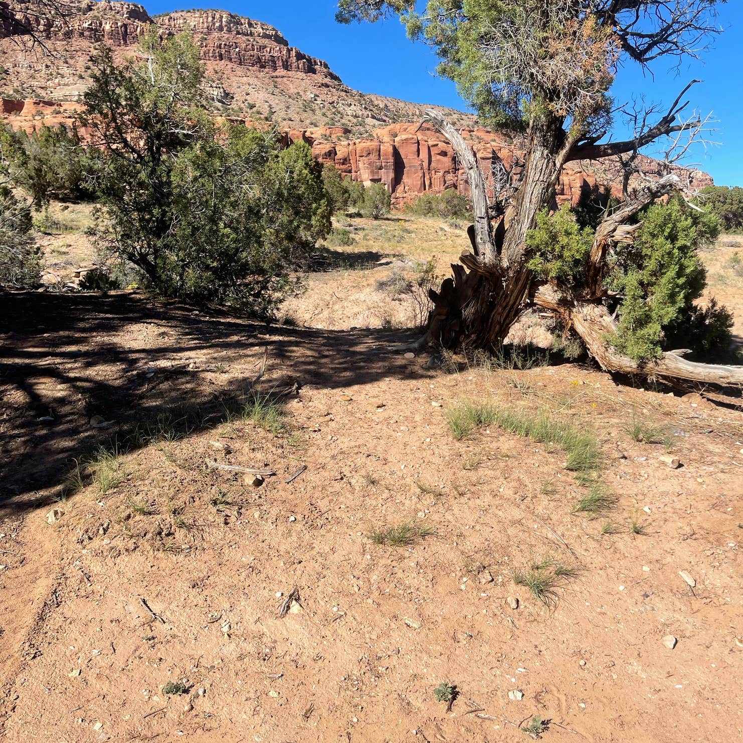 The Potholes Recreation Site Camping | The Dyrt