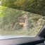 Mortimer Campground — National Forests In North Carolina ...