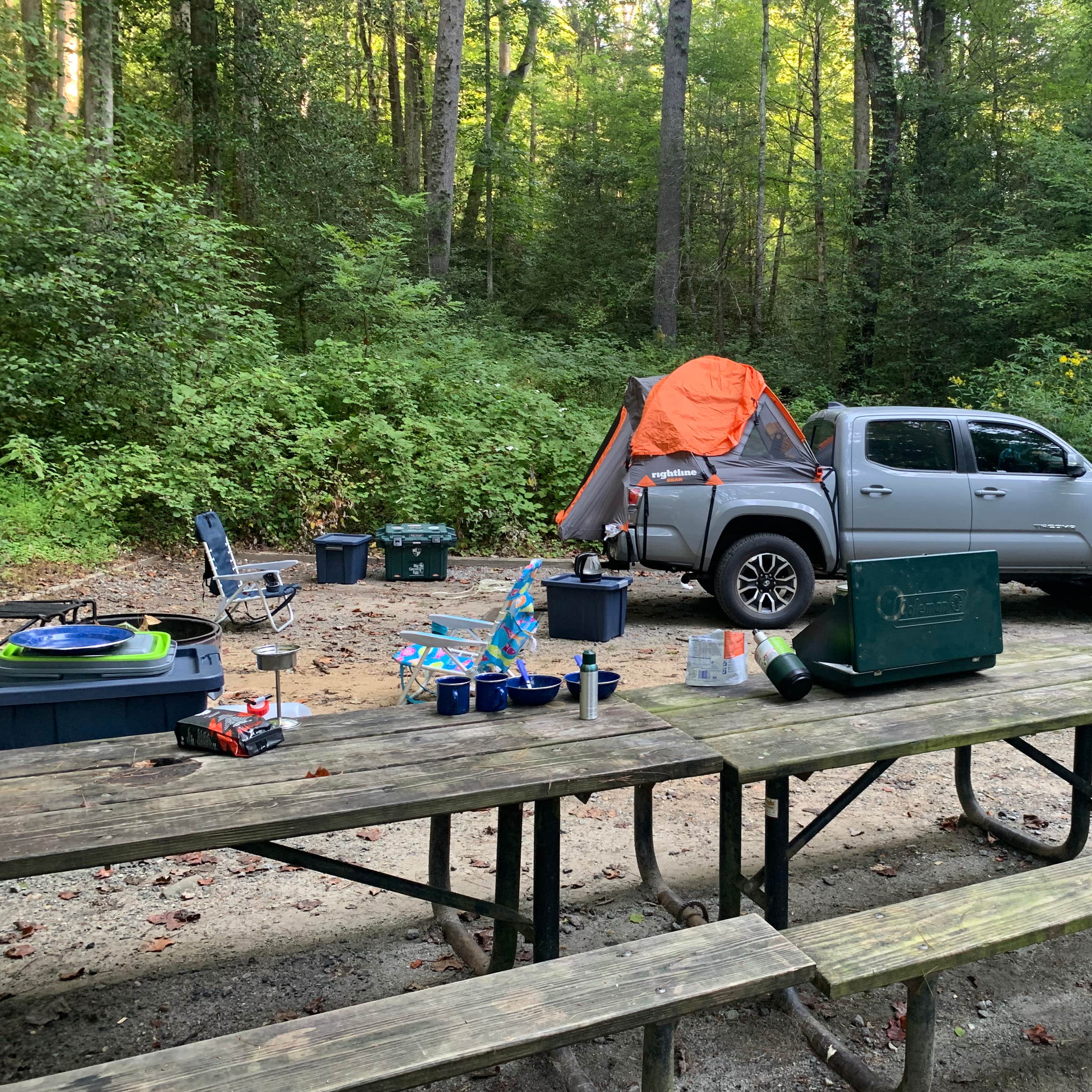 Mortimer Campground — National Forests In North Carolina ...