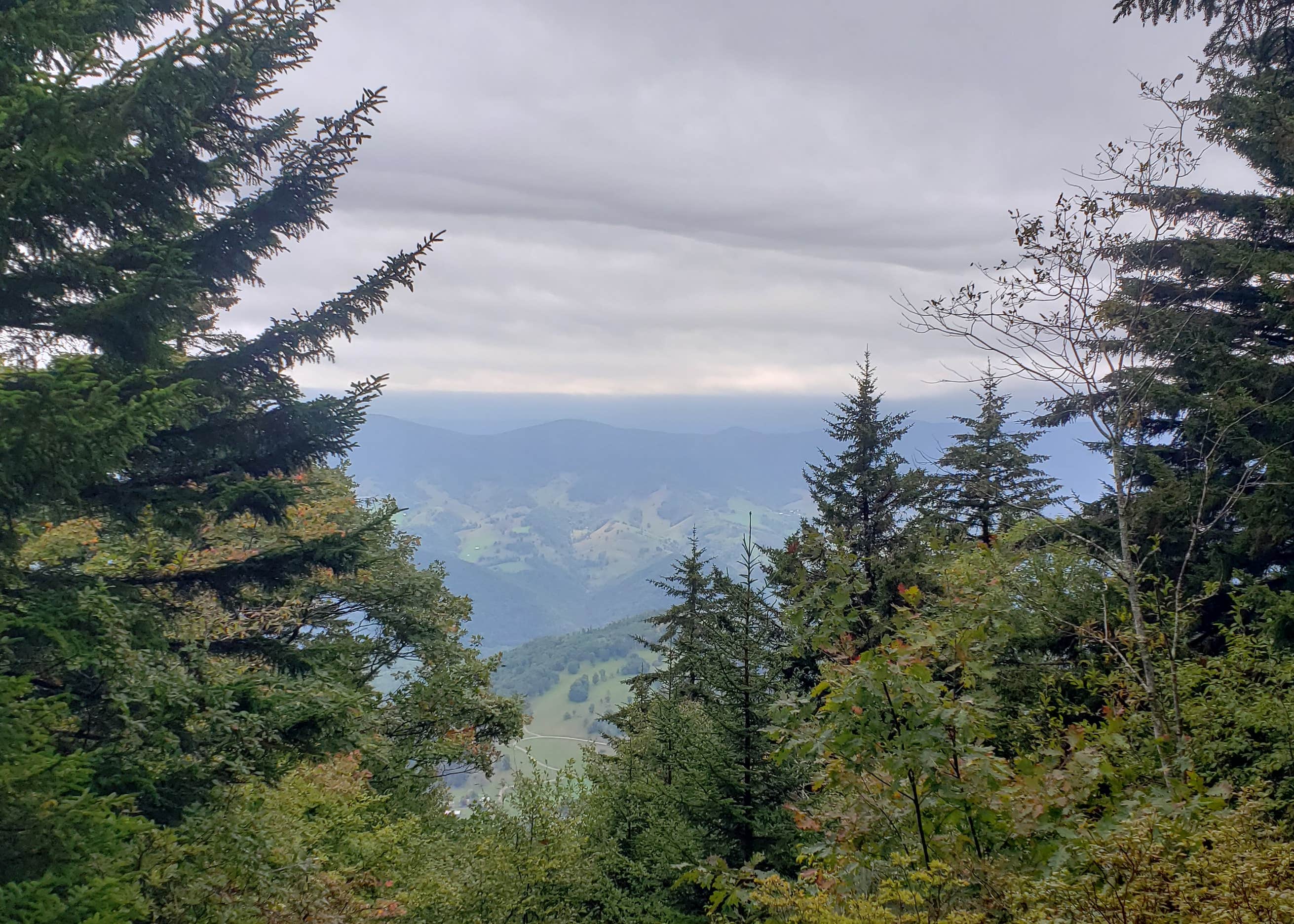 Spruce Knob and Spruce Knob Observation Tower Camping | The Dyrt