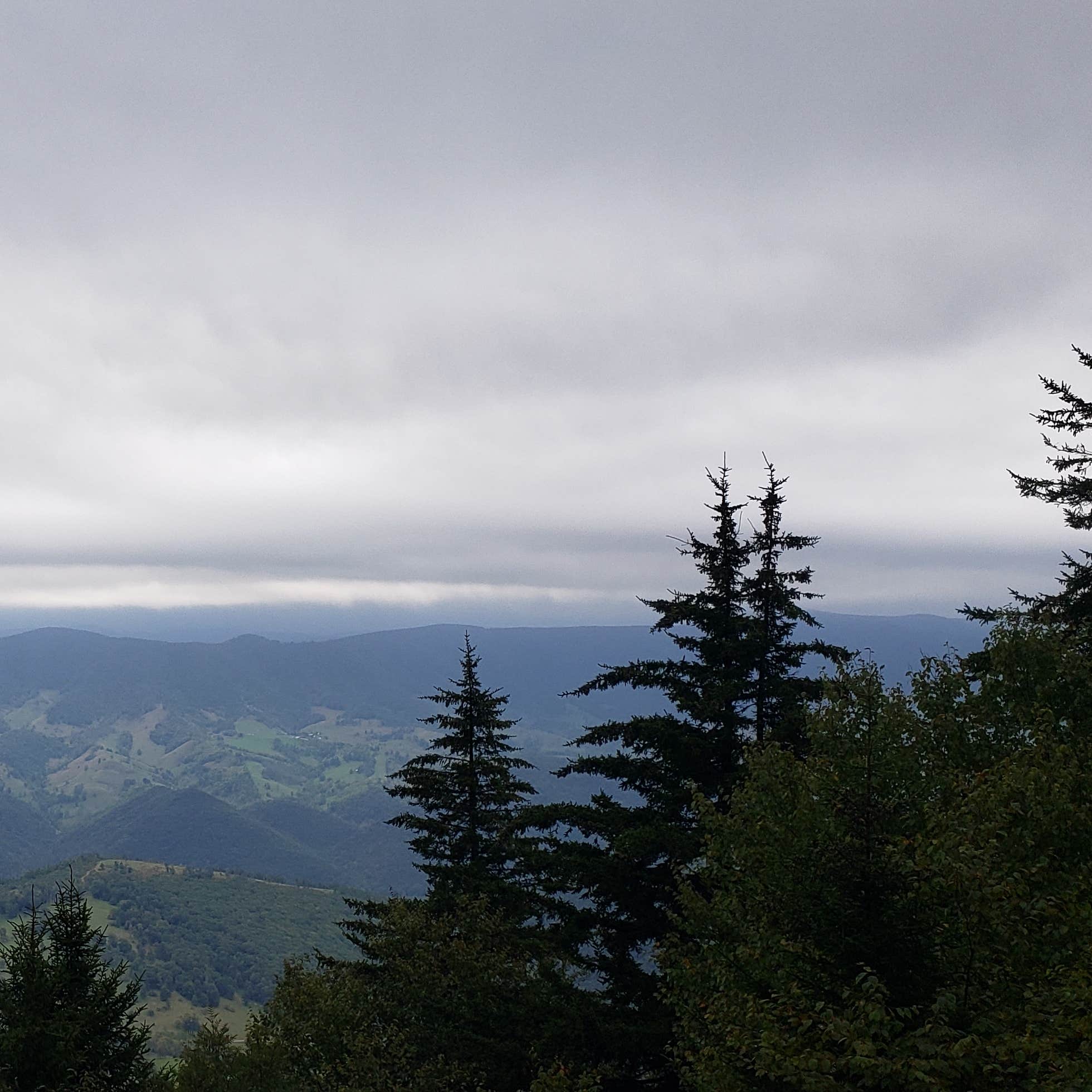 Spruce Knob and Spruce Knob Observation Tower Camping | Circleville ...