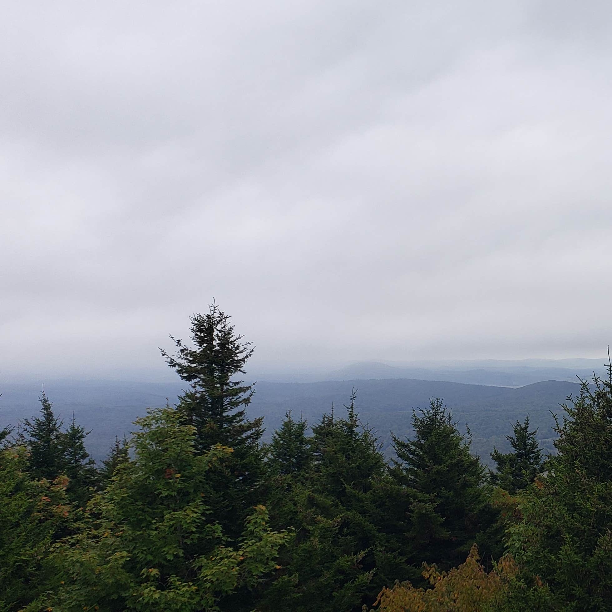 Spruce Knob and Spruce Knob Observation Tower Camping | Circleville ...