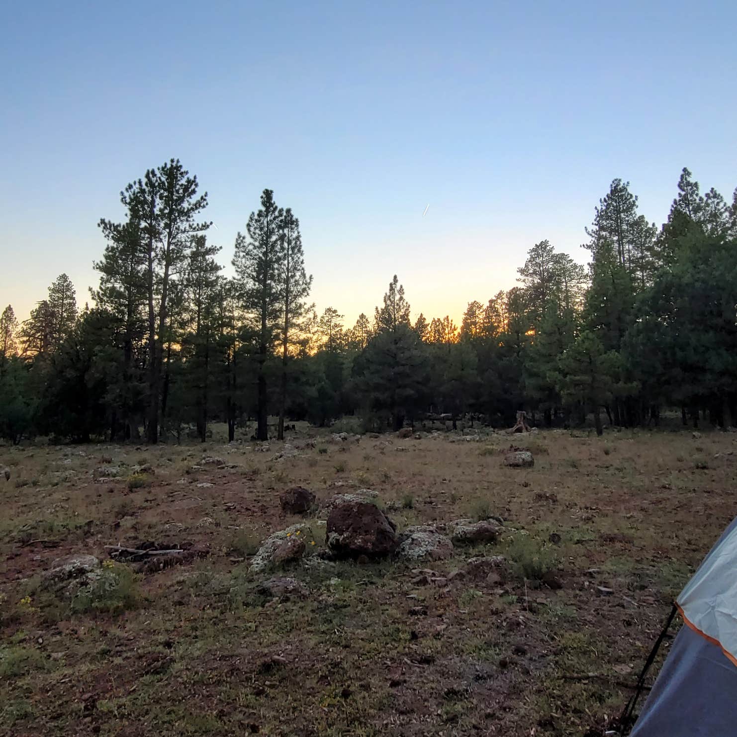 Schnebly Hill Road (FR153) Dispersed Camping | The Dyrt