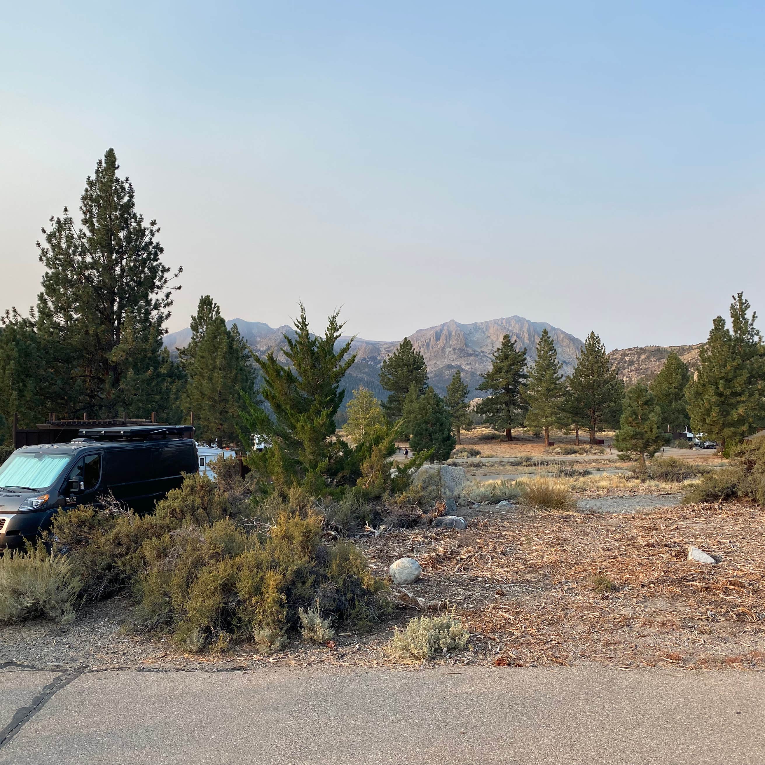 Inyo National Forest Oh Ridge Campground Camping | The Dyrt
