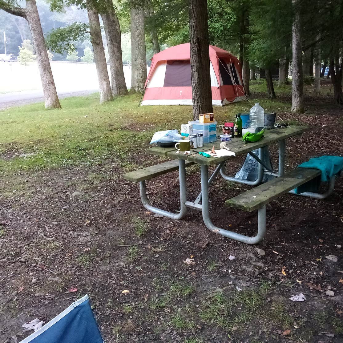 Cook Forest State Park Campground | Cooksburg, Pennsylvania