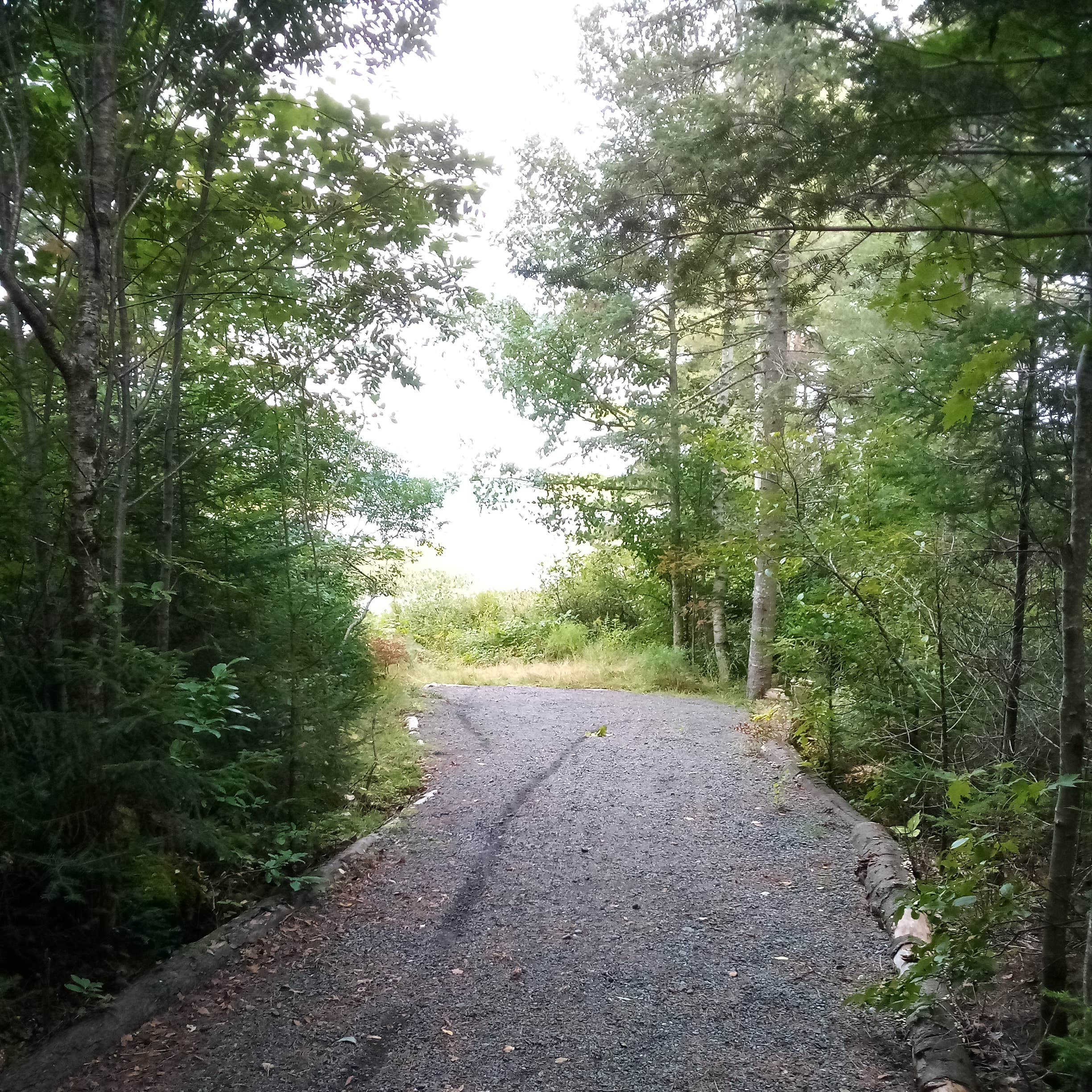 Lake Durant Campground Camping | The Dyrt