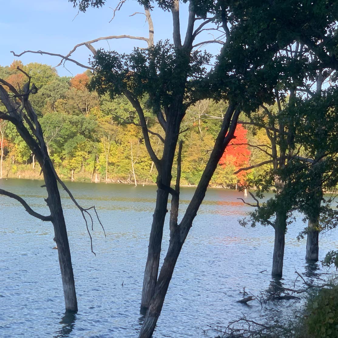 Chester Woods Park Camping | Eyota, MN